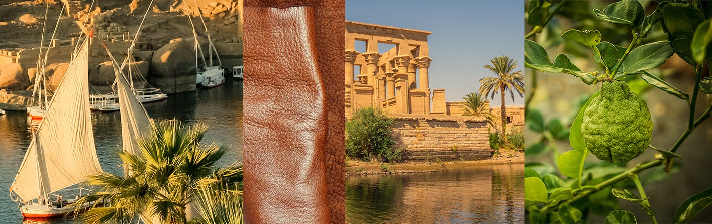 Aswan WIDIAN perfume - a fragrance for women and men 2021