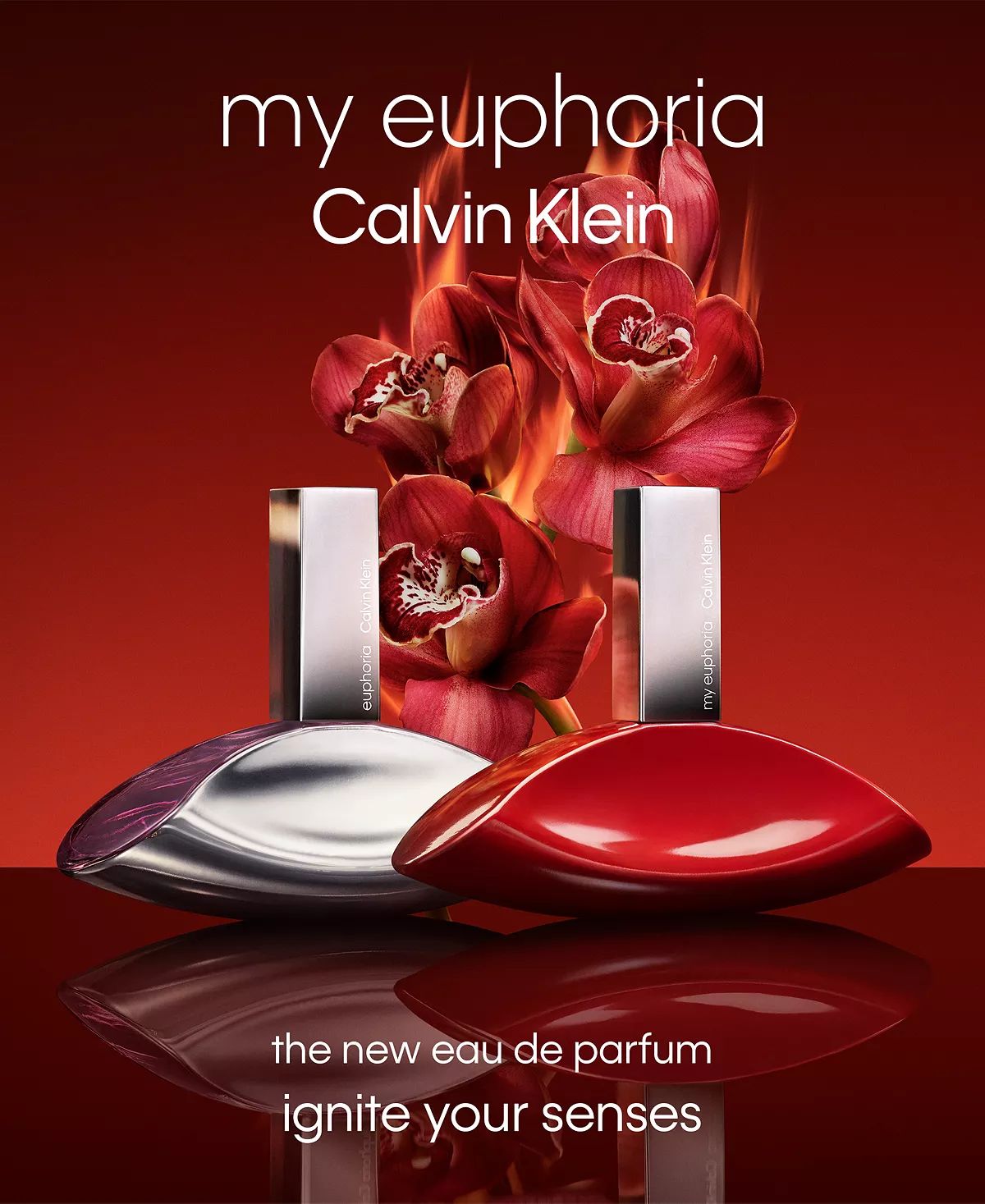 My Euphoria Calvin Klein perfume - a new fragrance for women 2023