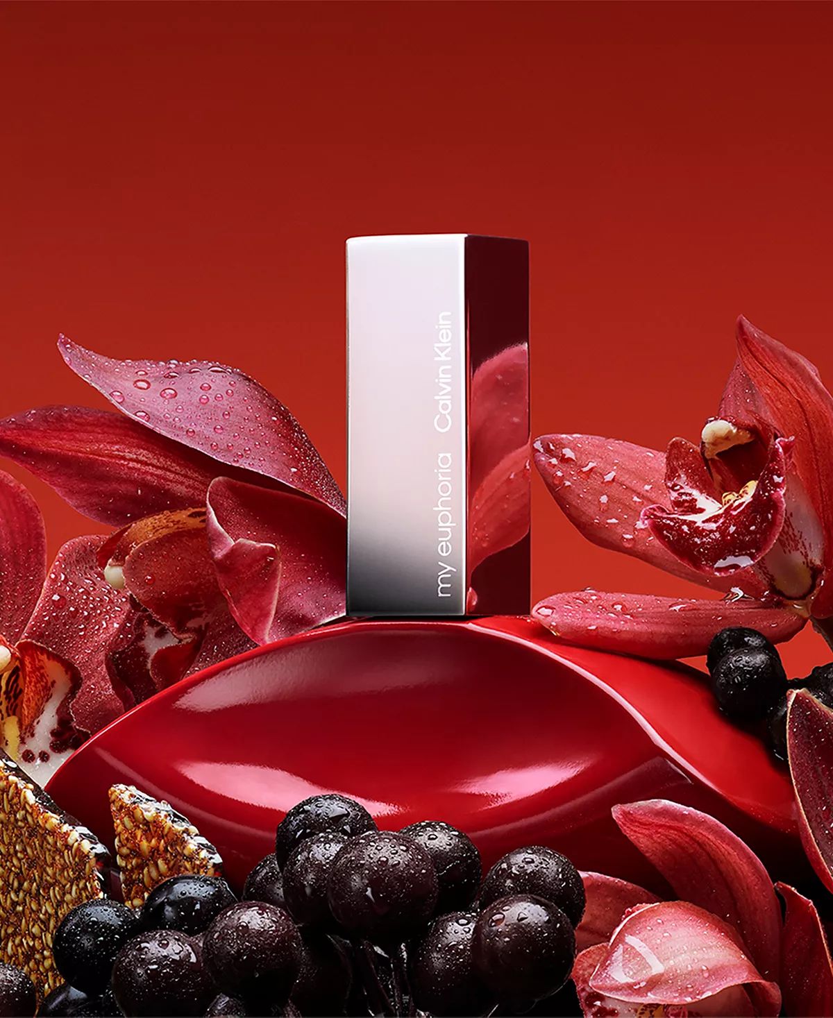 My Euphoria Calvin Klein perfume - a new fragrance for women 2023