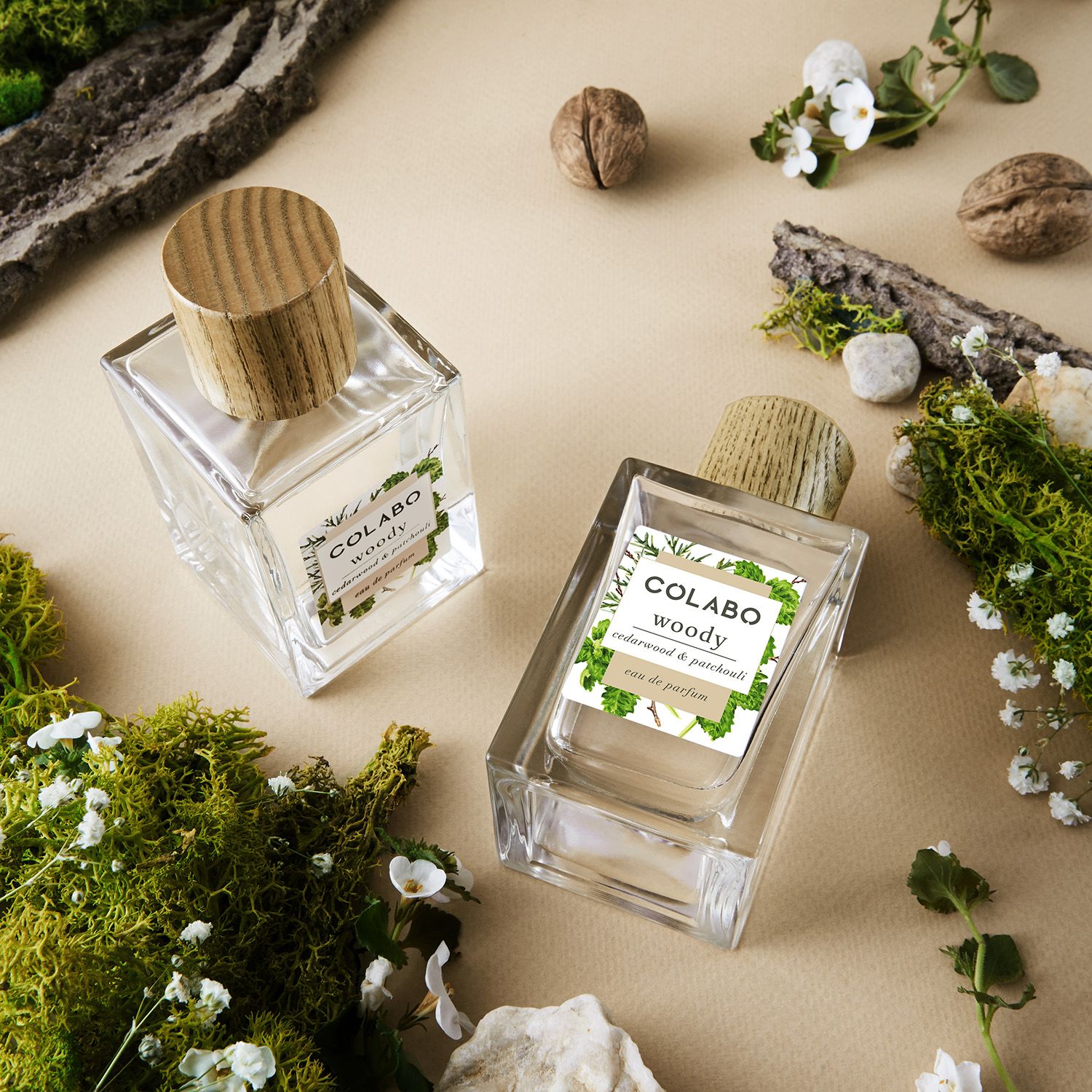 Woody Cedarwood & Patchouli COLABO perfume - a fragrance for women and ...