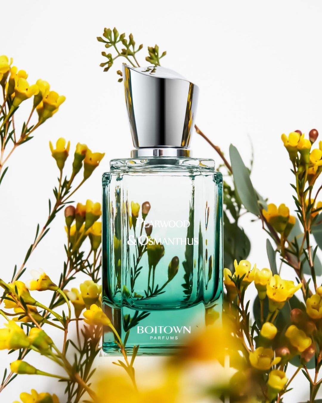 Pearwood & Osmanthus 梨木桂花 Boitown 冰希黎 - una fragranza da donna 2021