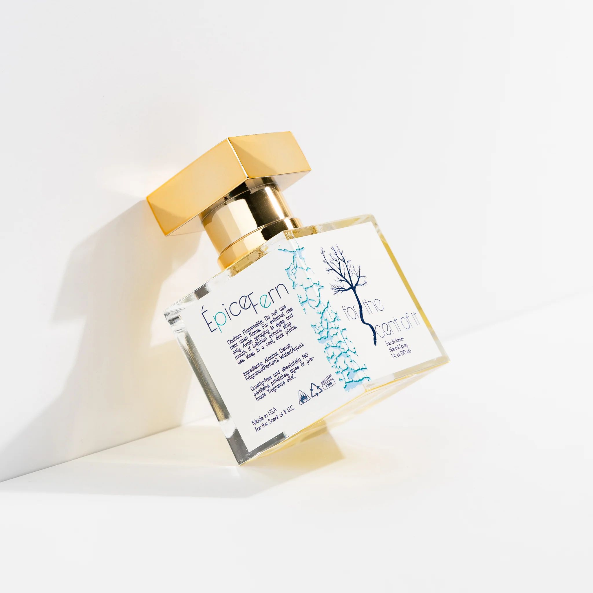 Épice Fern For the Scent of It perfume - a fragrance for women and men 2022