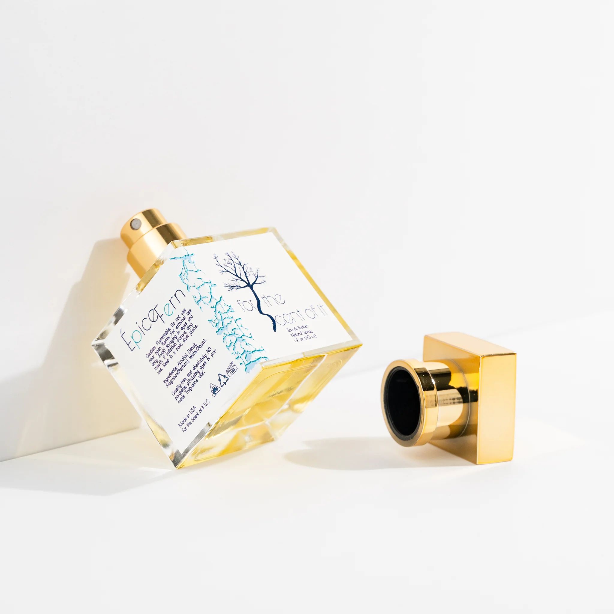 Épice Fern For the Scent of It perfume - a fragrance for women and men 2022