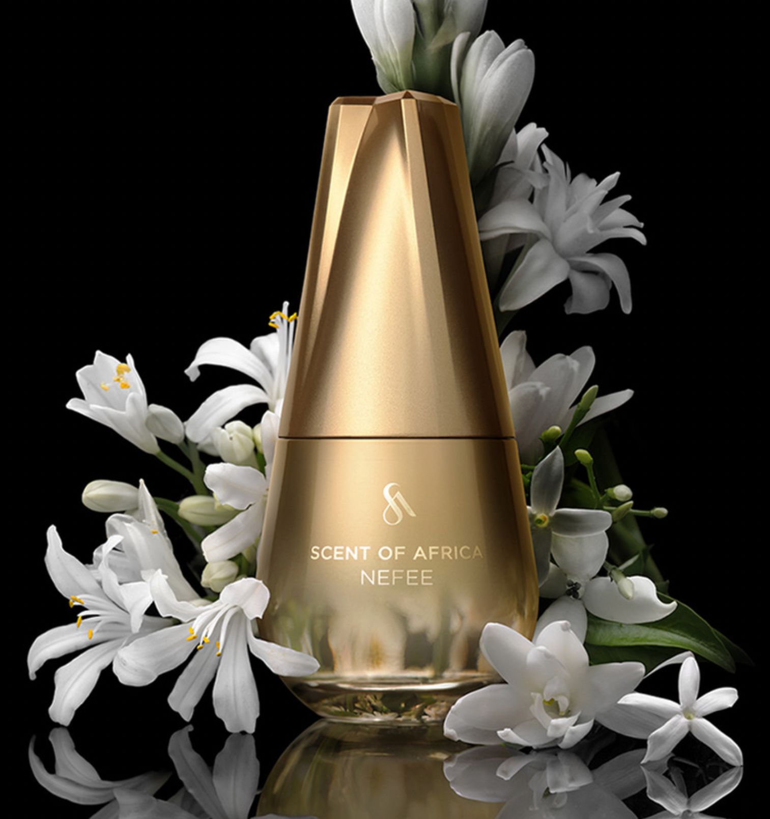 Nefee Scent Of Africa perfume - a fragrância Feminino 2022