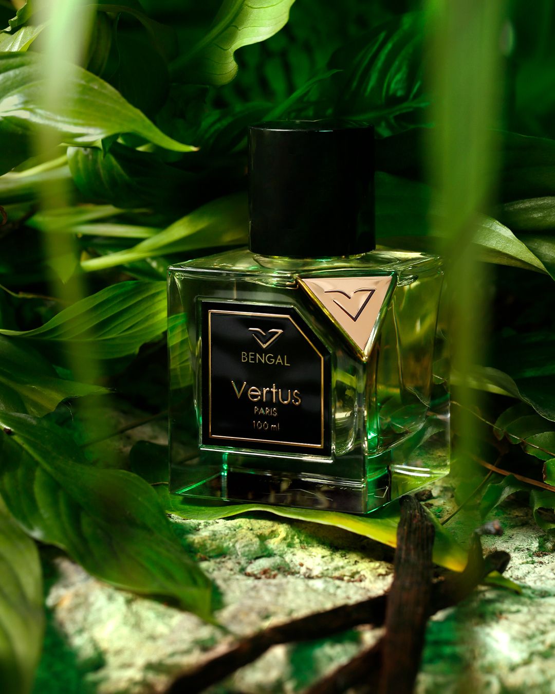 Bengal Vertus perfume - a fragrance for women and men 2023