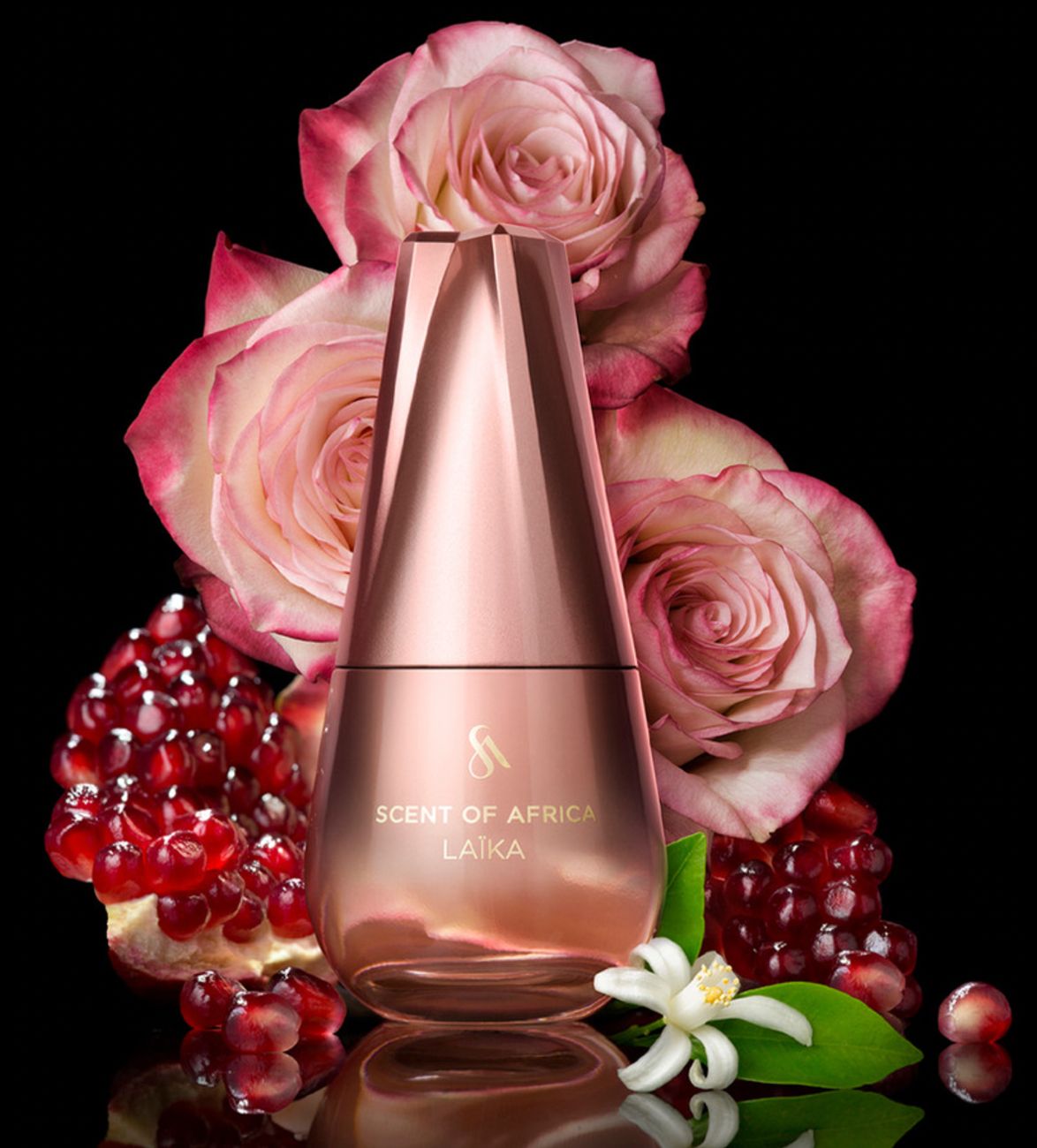 Laïka Scent Of Africa perfume - a fragrance for women 2022