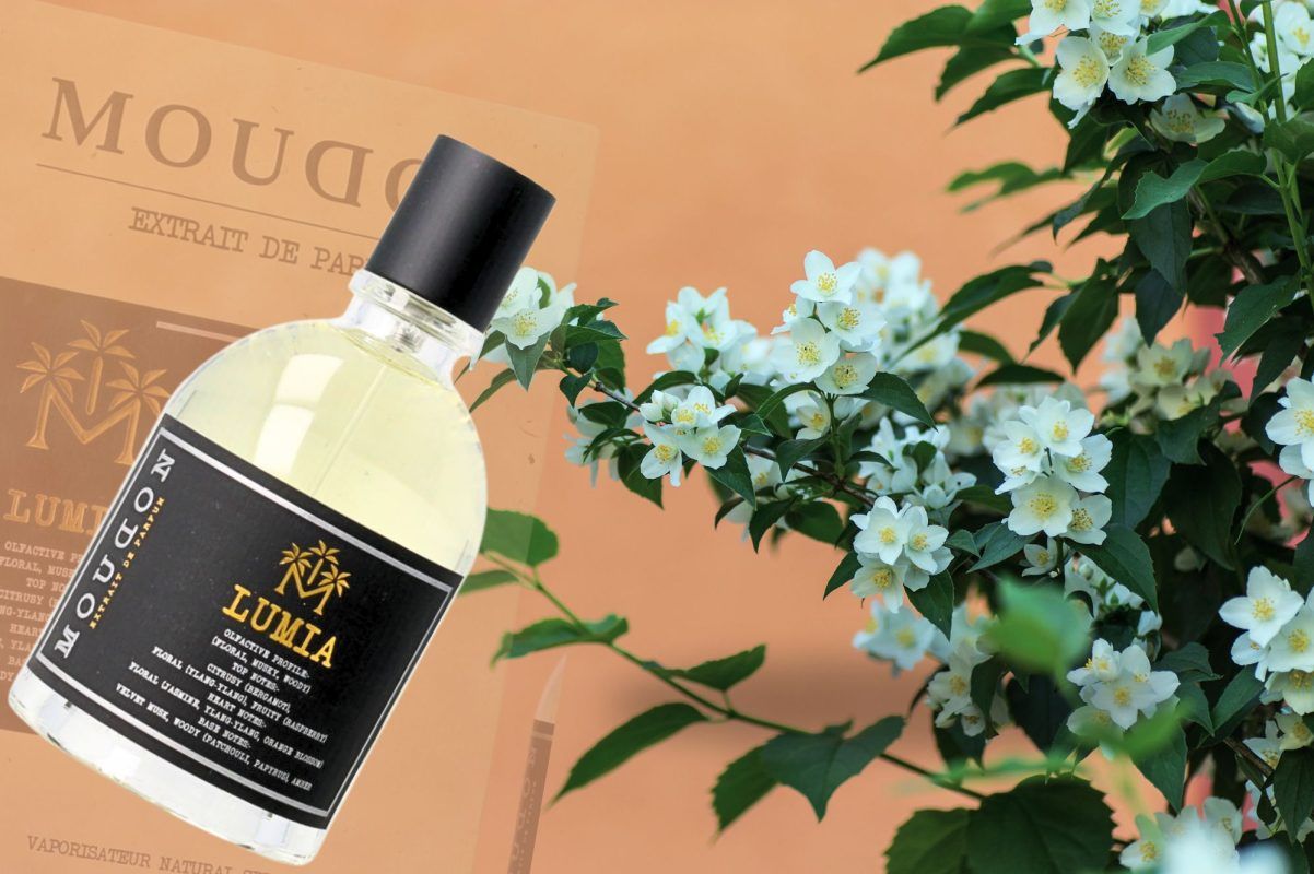 Lumia Moudon perfume - a fragrance for women and men 2022