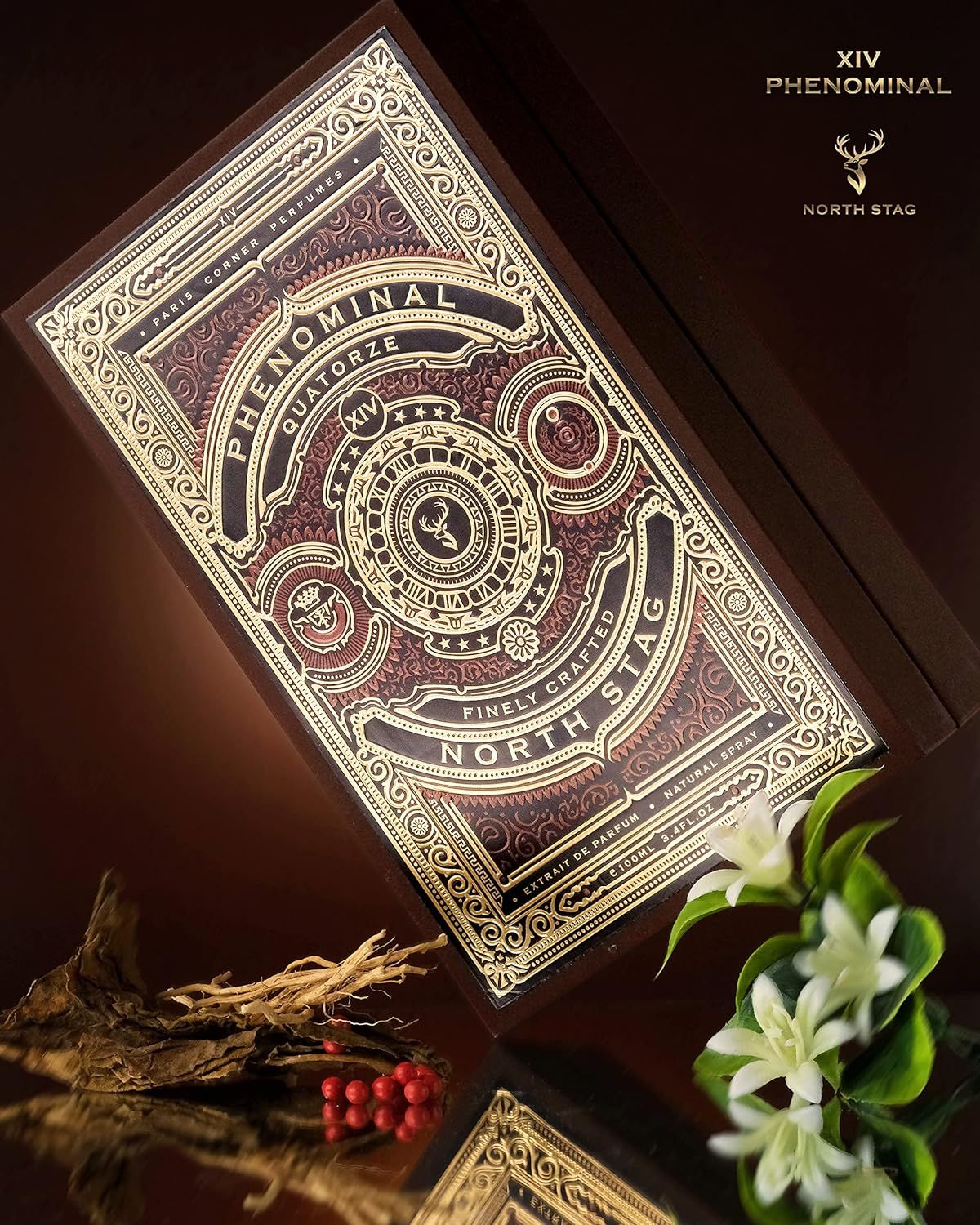 Phenominal Quatorze XIV North Stag сүрчиг - a шинэ сүрчиг эрэгтэй ...