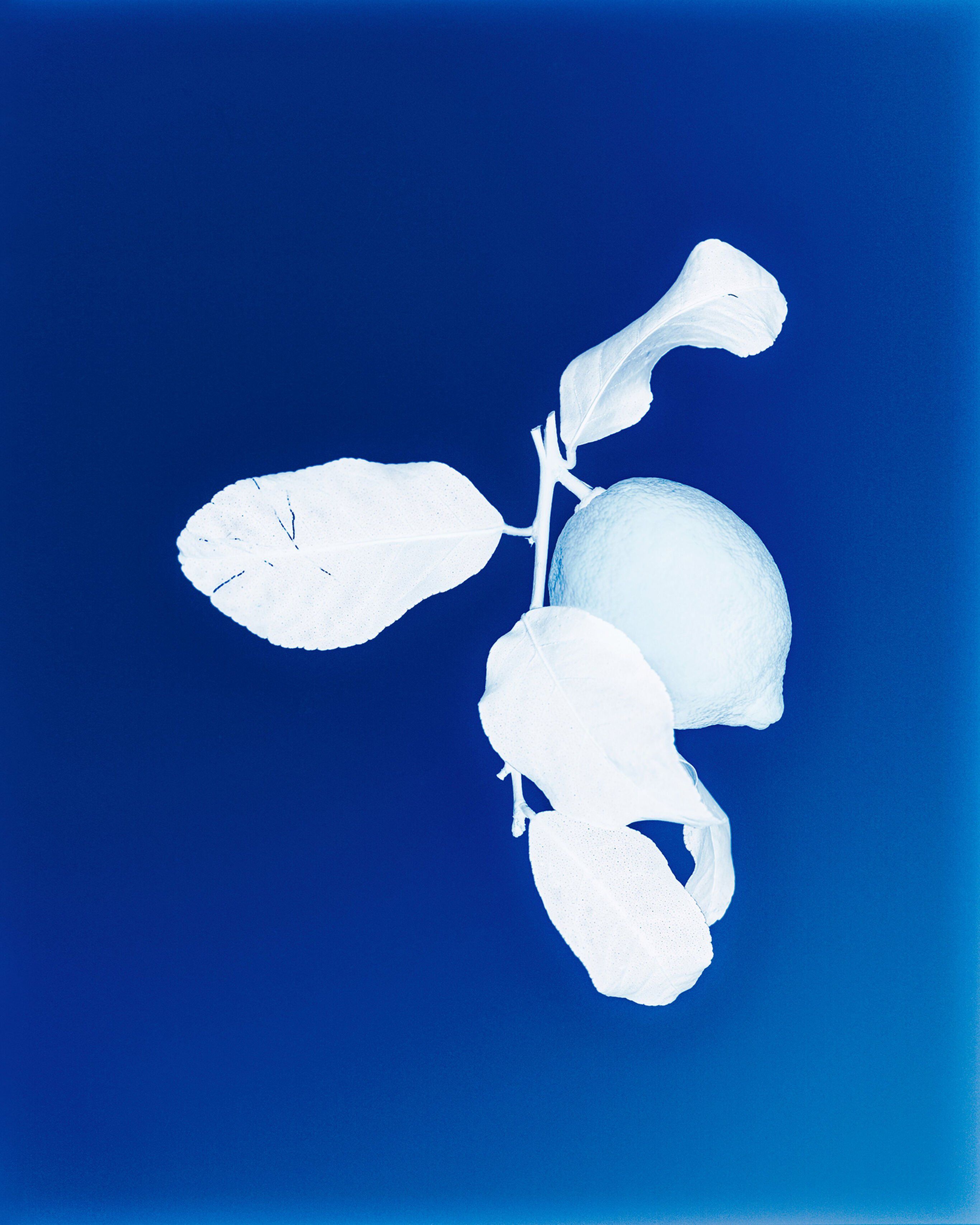 Gant (2023) Gant cologne - a fragrance for men 2023