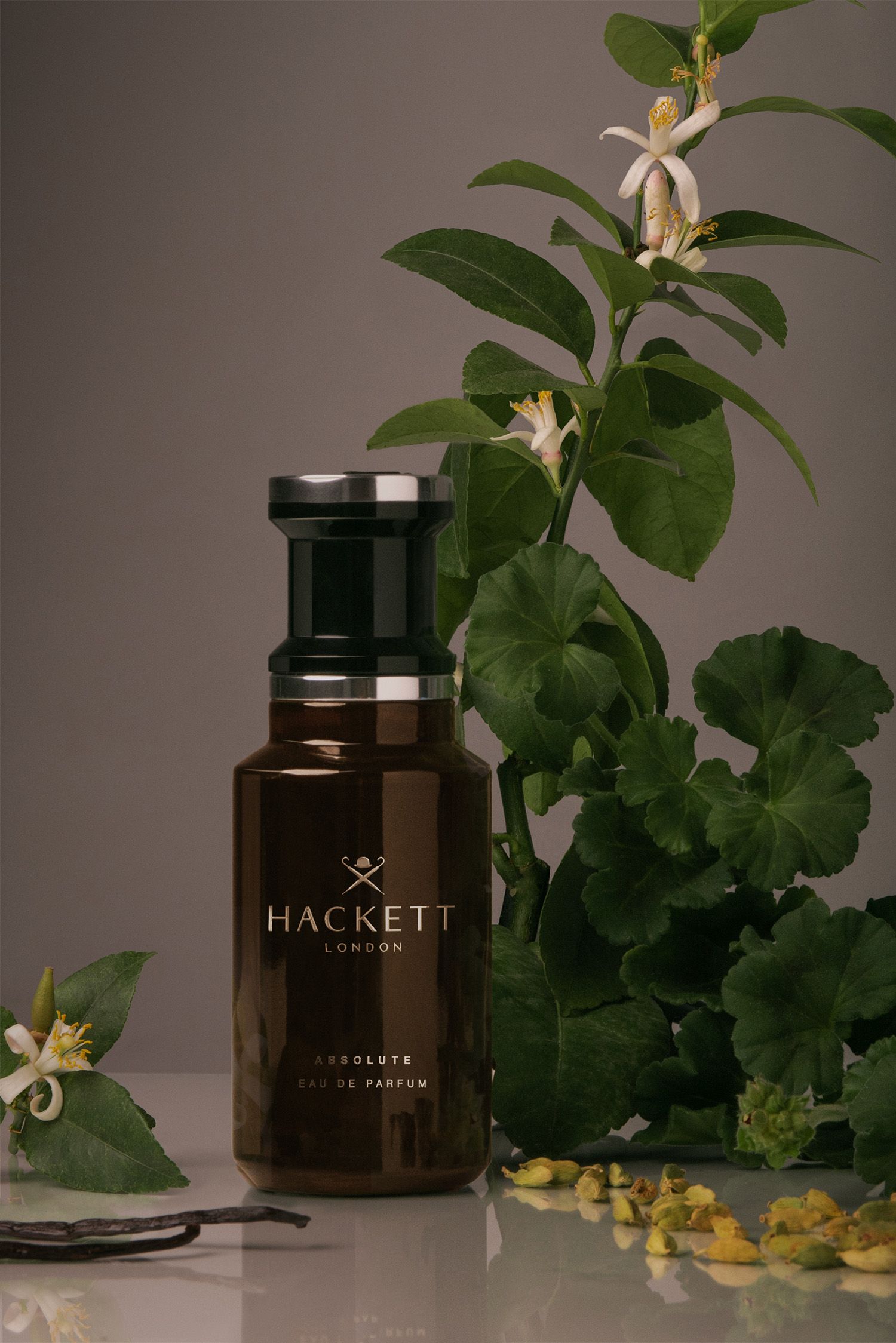 Absolute Hackett London cologne - a fragrance for men 2023