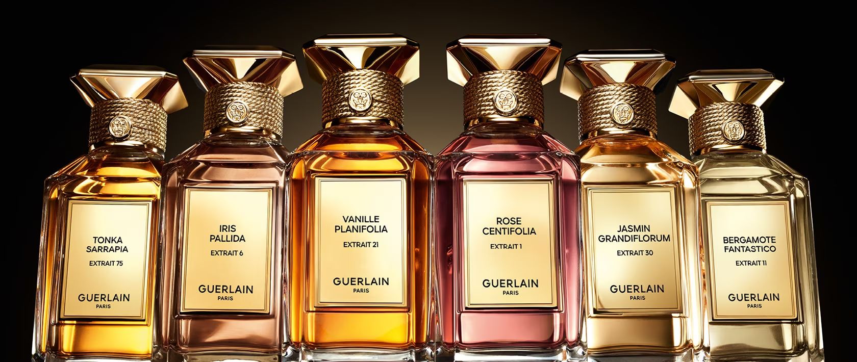 Rose Centifolia Extrait 1 Guerlain perfume - a new fragrance for women ...