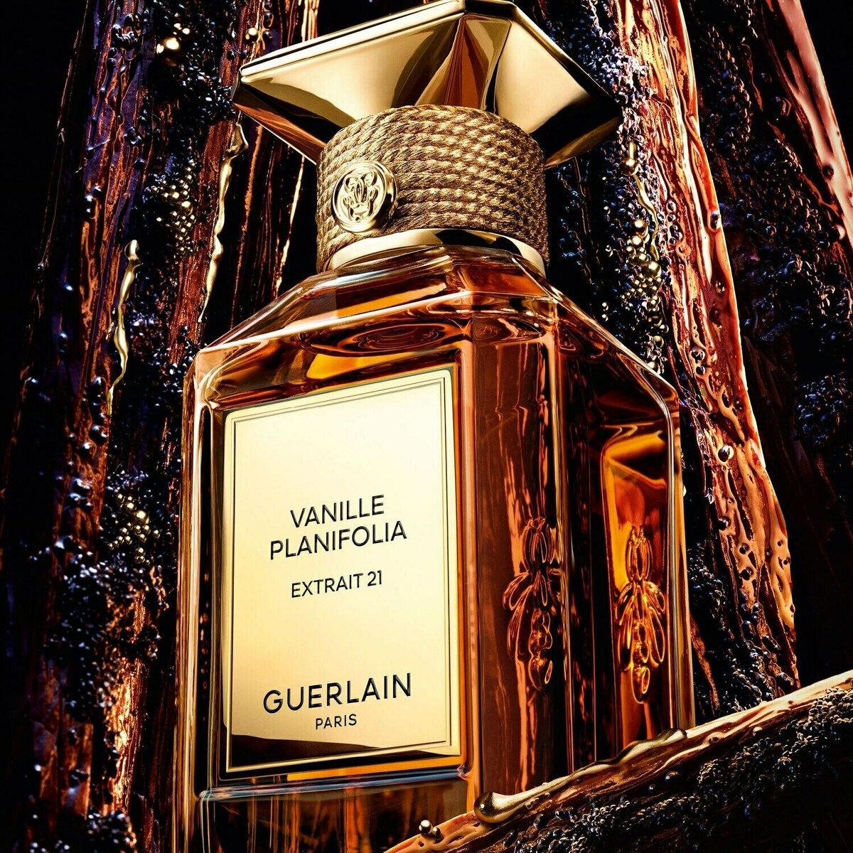 Vanille Planifolia Extrait 21 Guerlain perfume - a new fragrance for ...