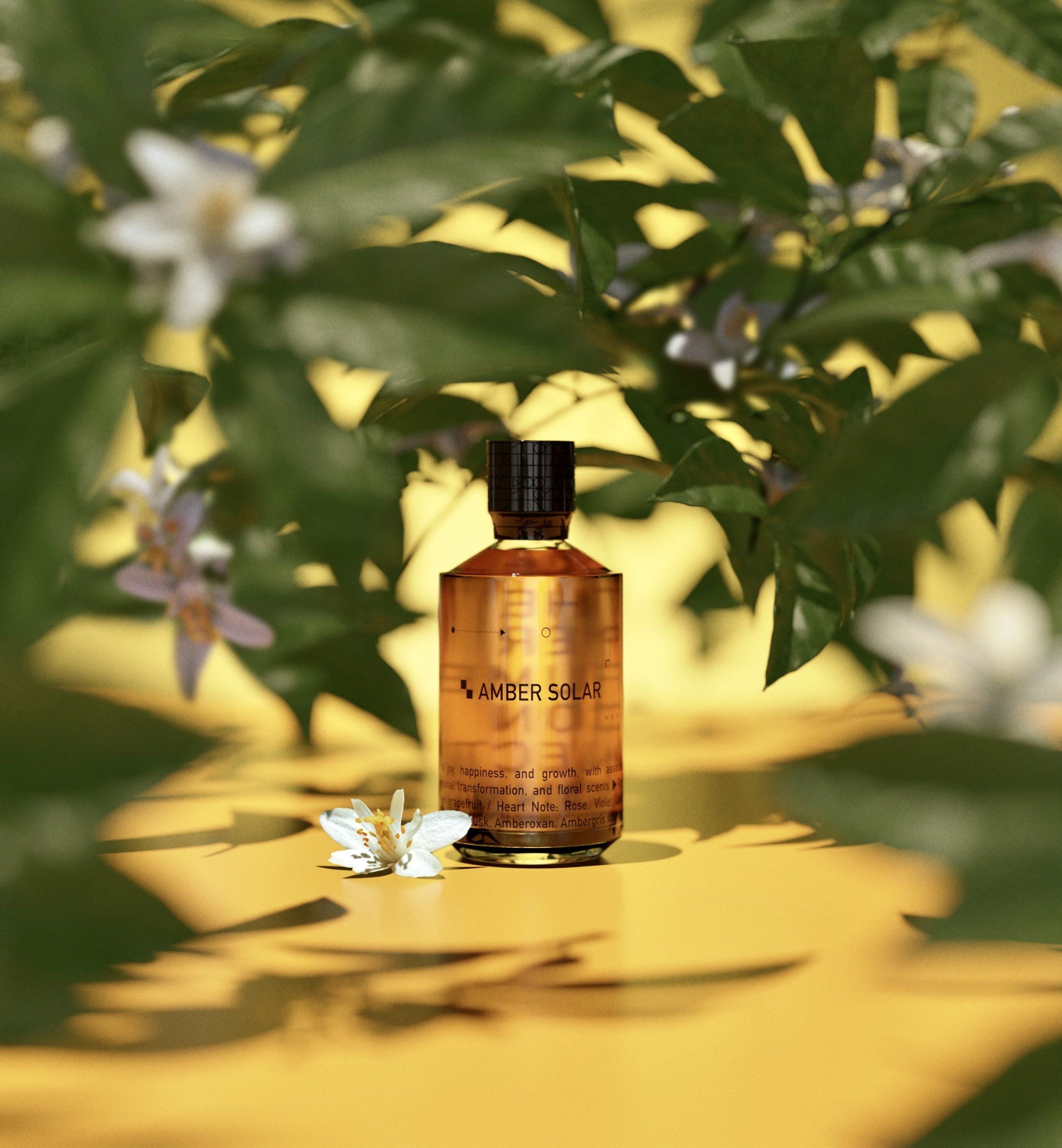 Amber Solar The Perfume Connection perfume - a fragrance for women and ...