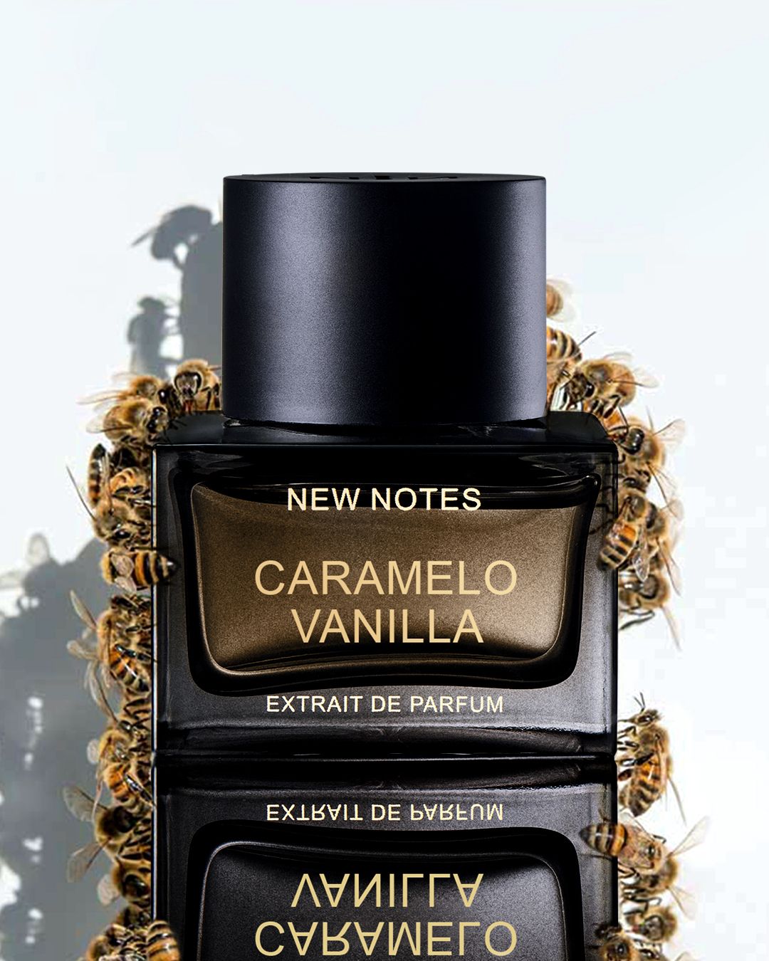 Caramelo Vanilla New Notes perfume - a new fragrance for women and men 2022