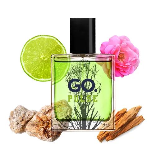 GO. Pulse GO. cologne - a new fragrance for men 2022