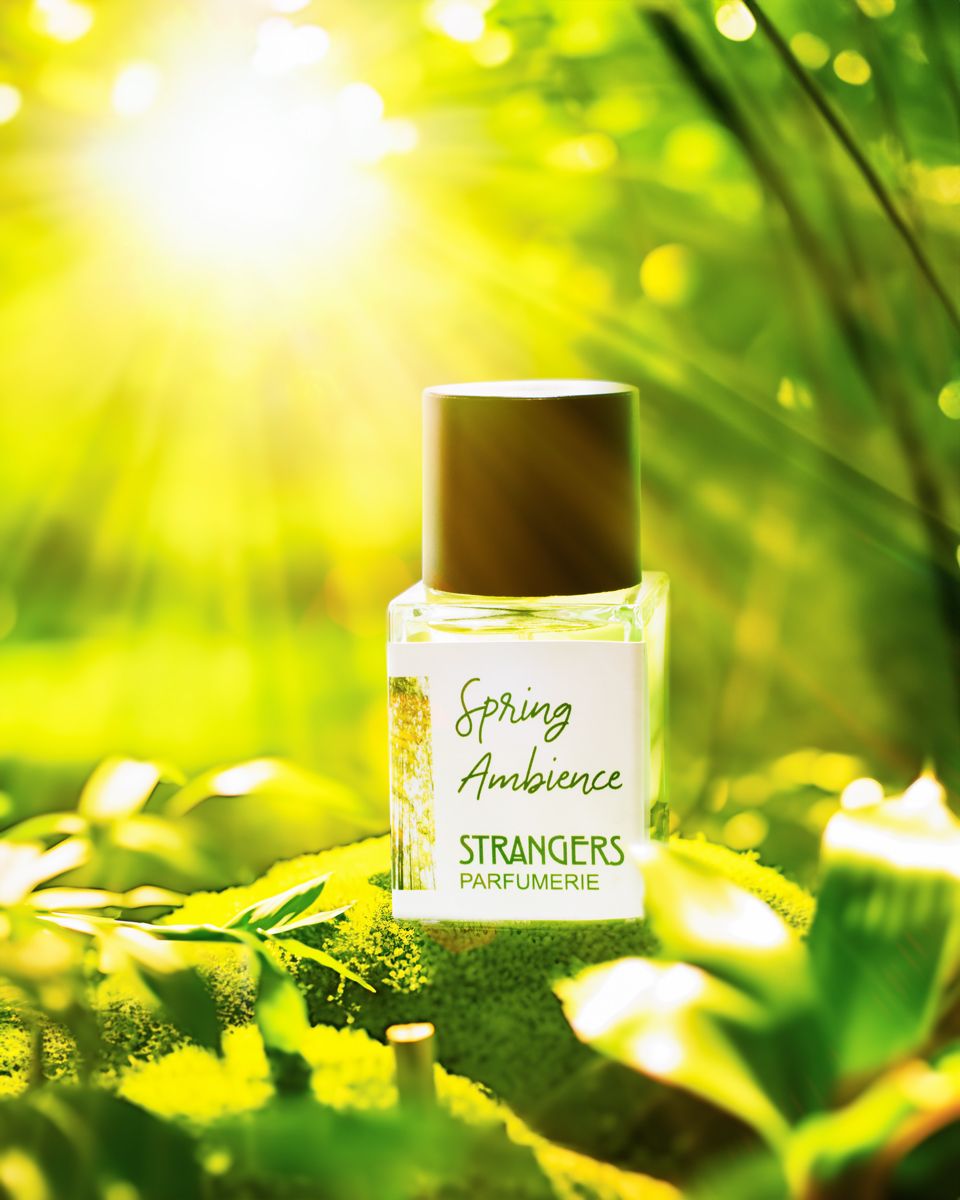 Spring Ambience Strangers Parfumerie perfume - a fragrância ...