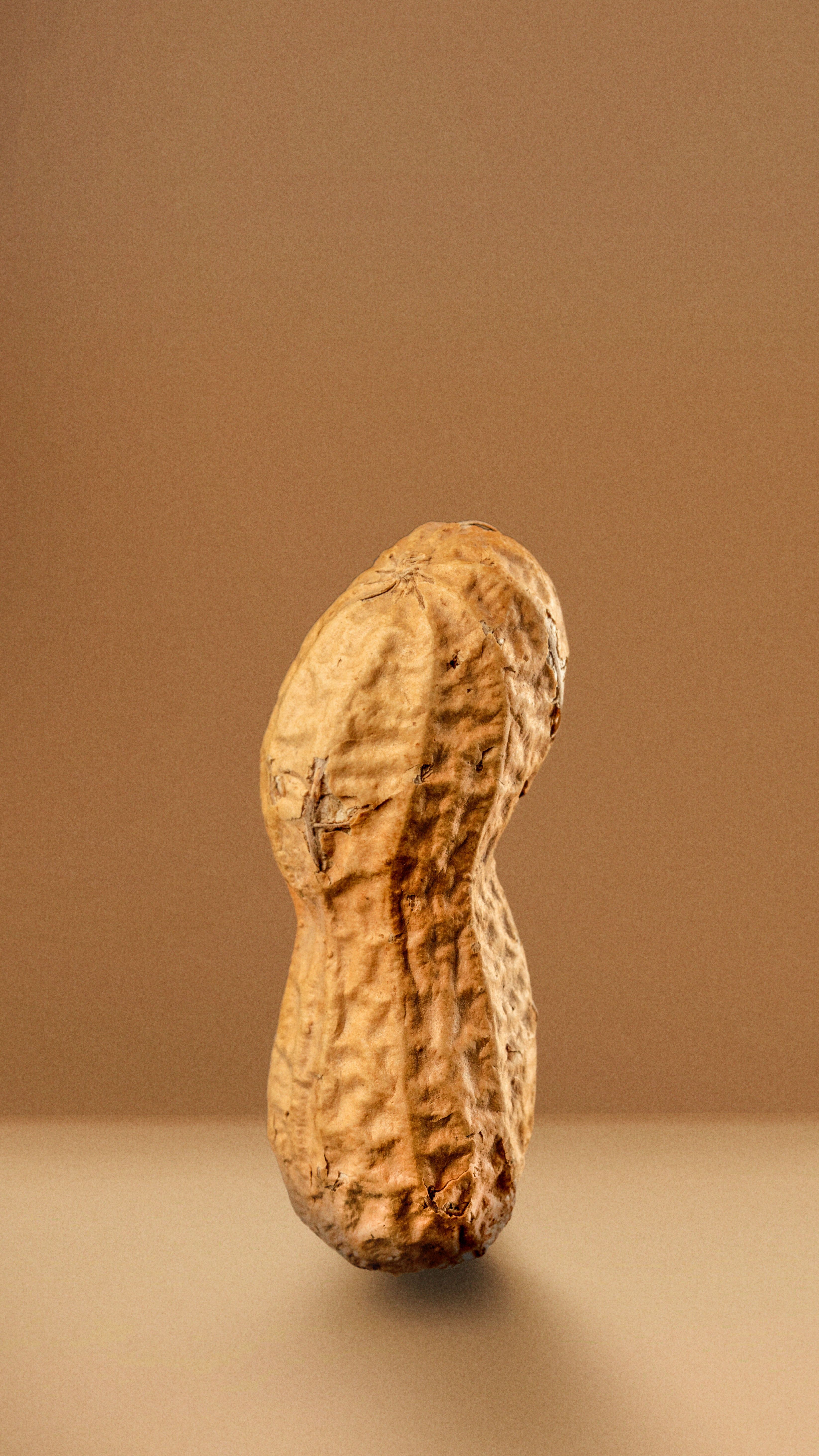 Peanut DS&Durga сүрчиг - a шинэ сүрчиг эрэгтэй эмэгтэй 2024