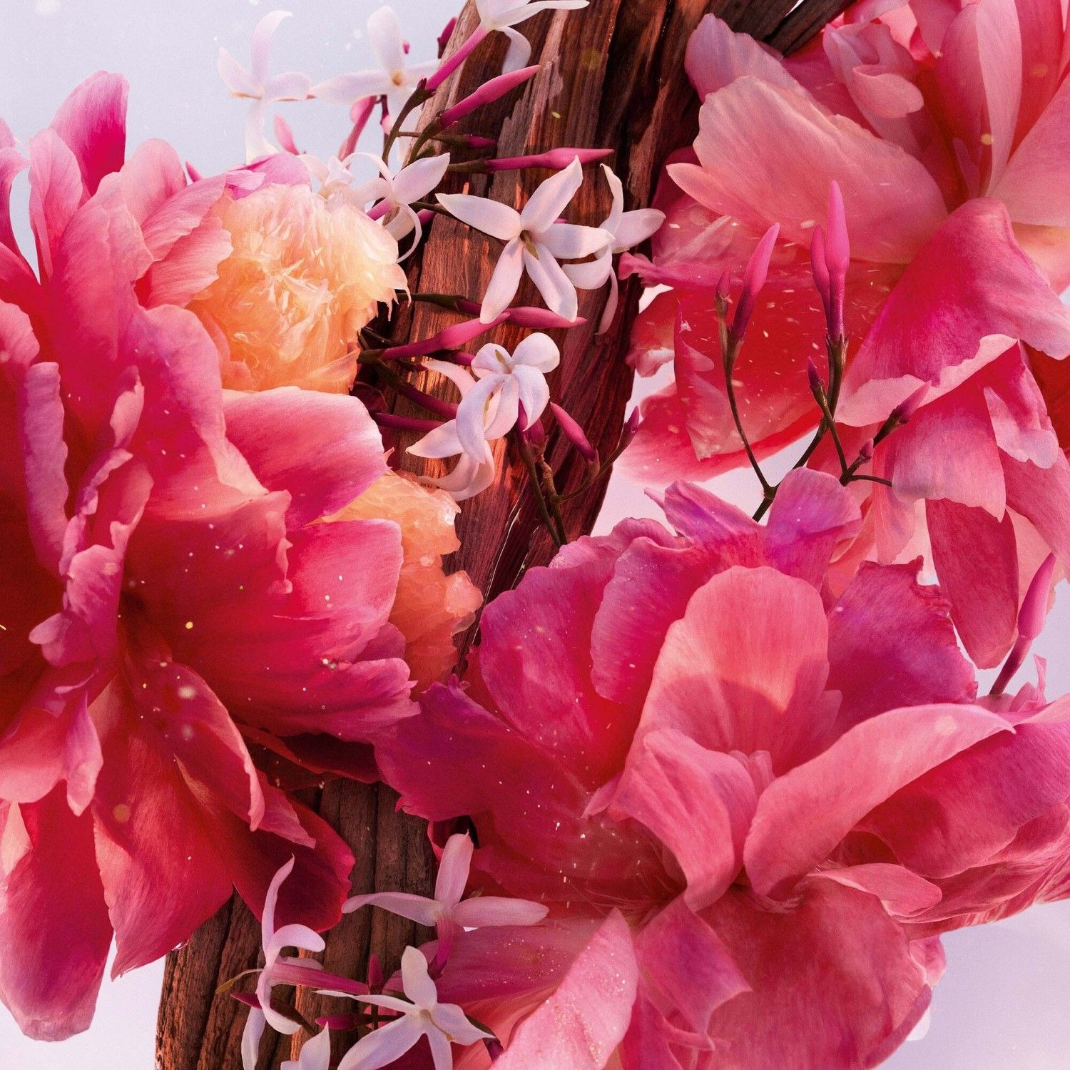 Miss Dior Parfum (2024) Dior perfume - a new fragrance for women 2024