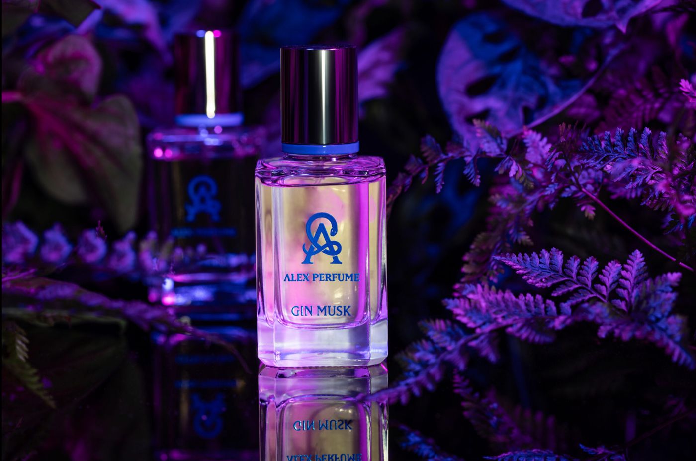 Gin Musk Alex Perfume fragancia - una nuevo fragancia para Hombres y ...