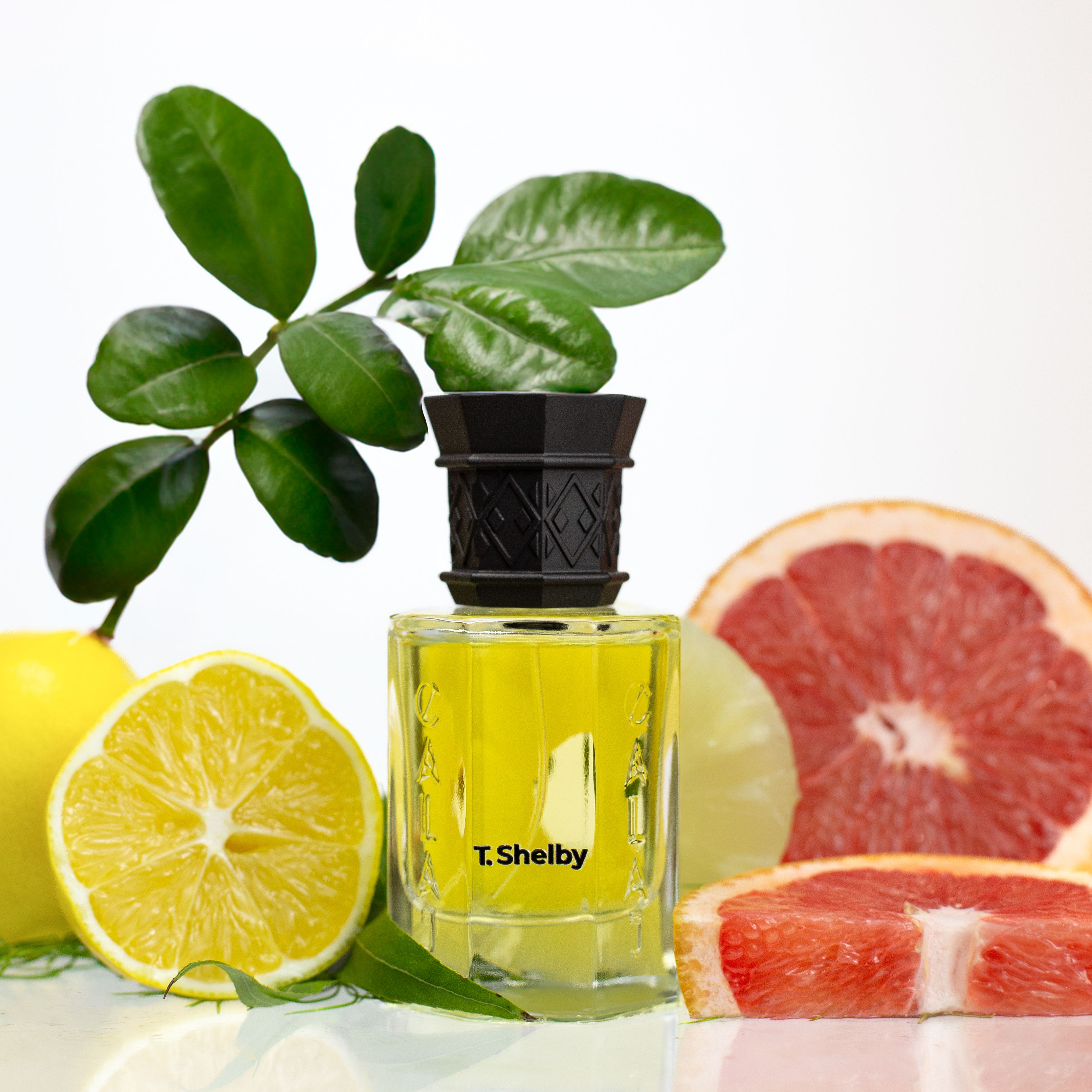 T. Shelby Calaj сүрчиг - a шинэ сүрчиг эрэгтэй эмэгтэй 2022