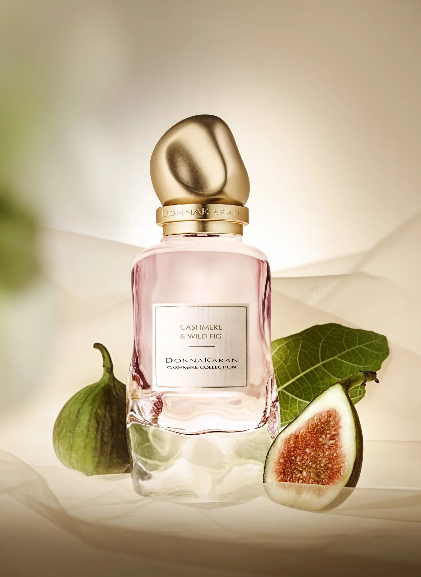 Cashmere & Wild Fig Donna Karan perfume - a fragrance for women 2024
