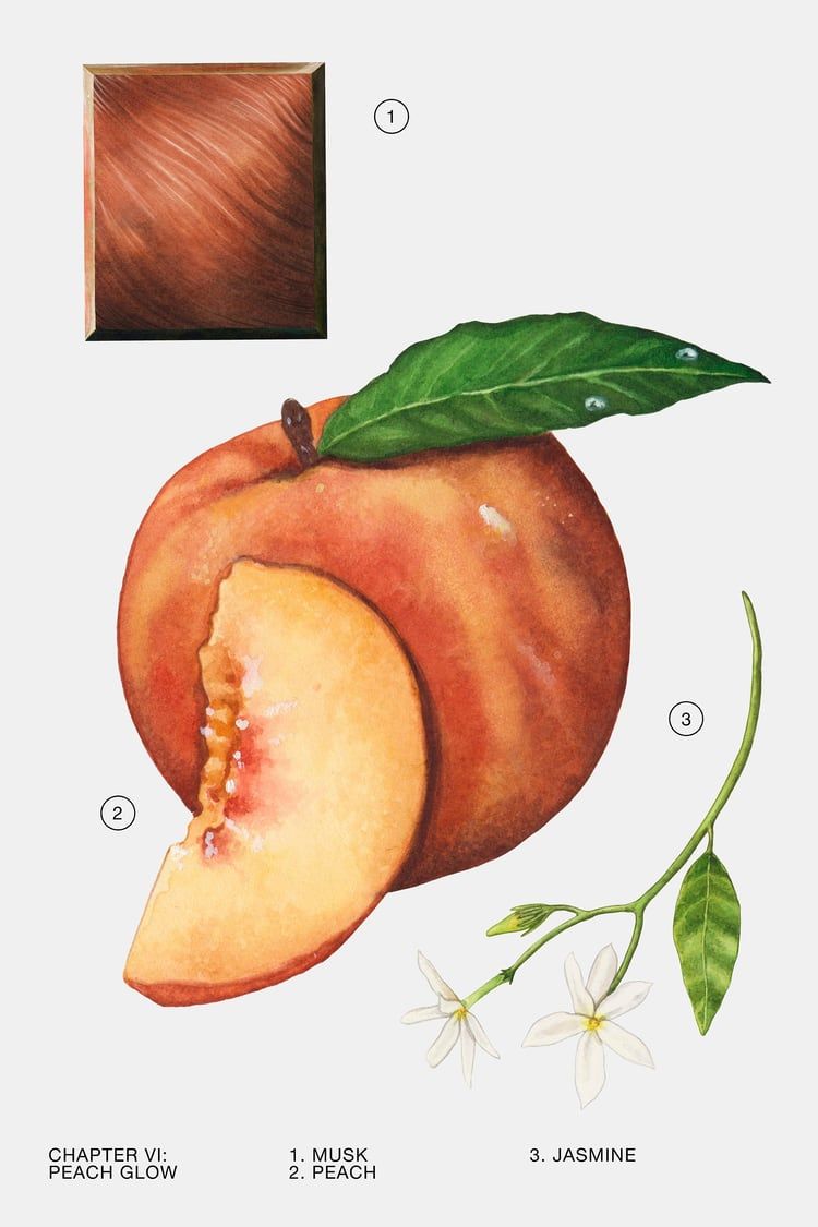 Peach Glow Eau de Parfum Zara perfume - a fragrance for women 2023