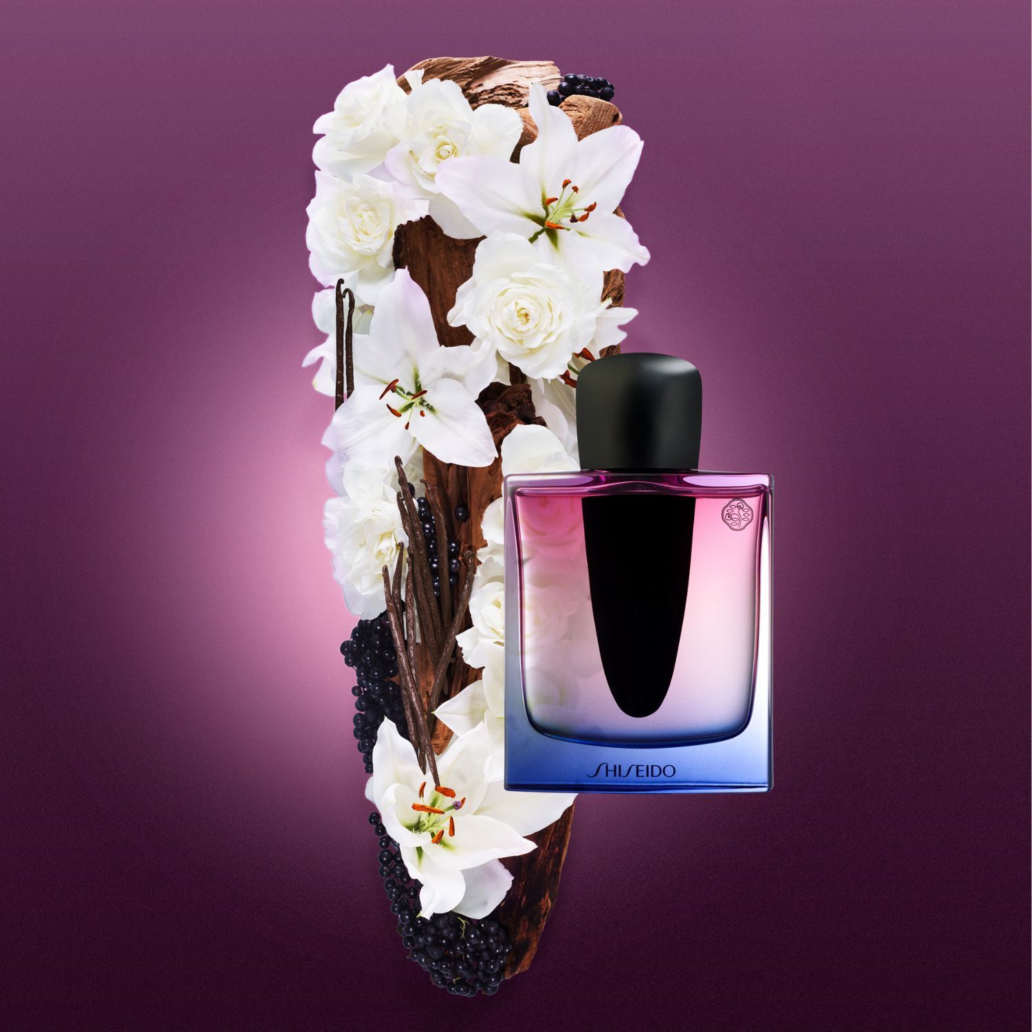 Ginza Night Shiseido perfume - a new fragrance for women 2024