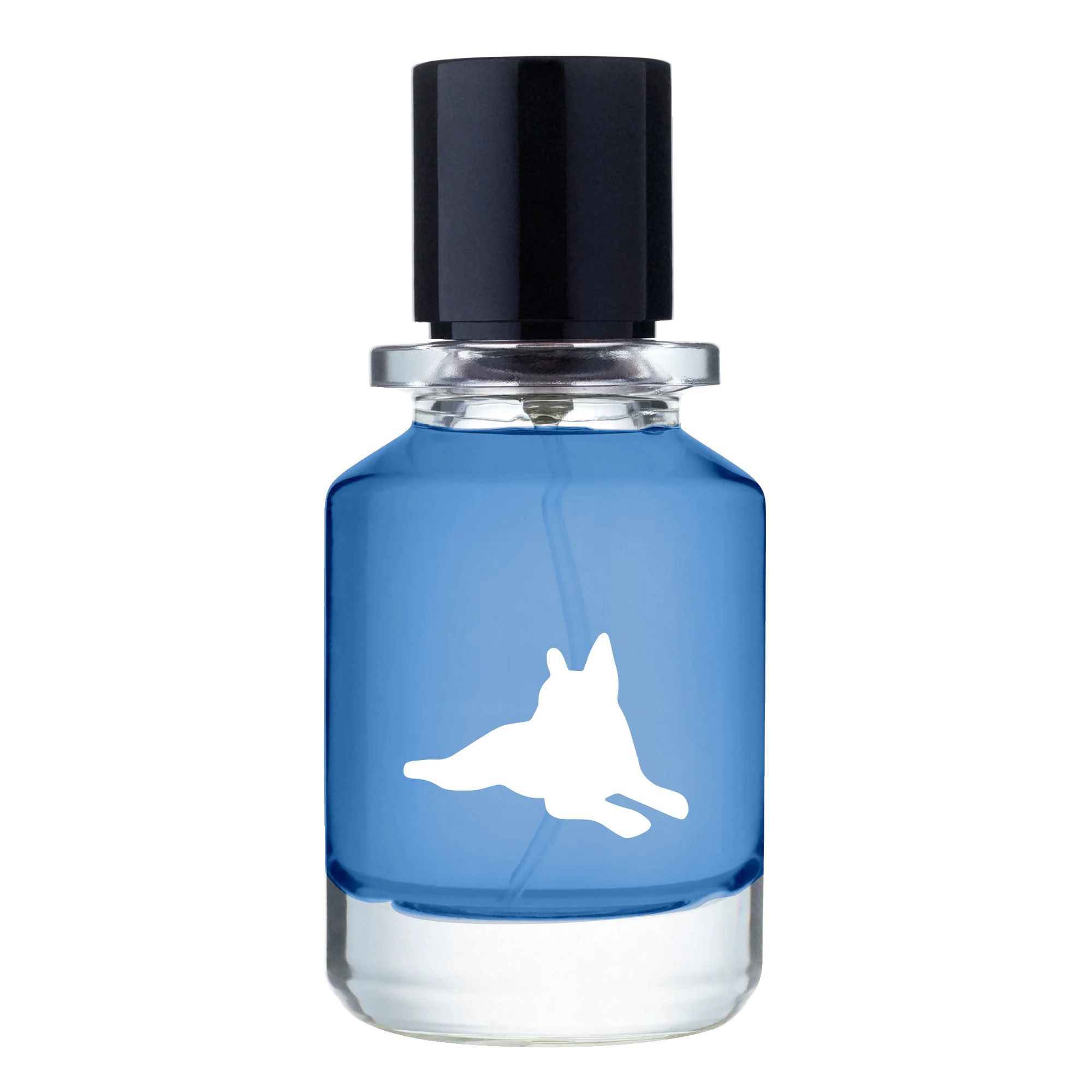 Mood Swings Fugazzi perfume - a fragrance for women and men 2023