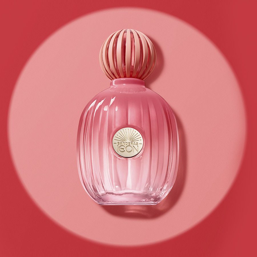 The Icon Splendid Antonio Banderas perfume - a new fragrance for women 2024