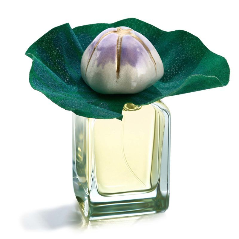 Mauna Mendittorosa perfume - a new fragrance for women and men 2024