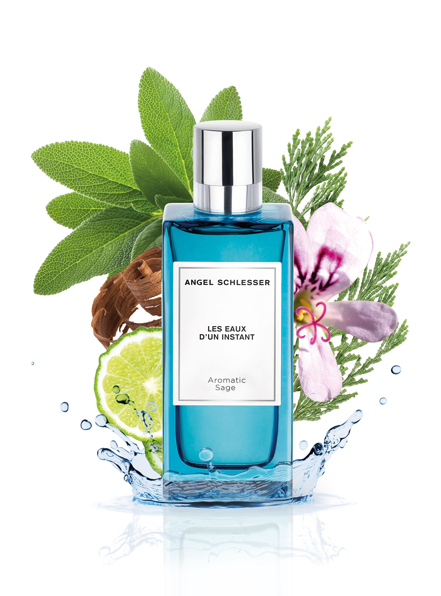 Aromatic Sage Angel Schlesser cologne - a new fragrance for men 2024