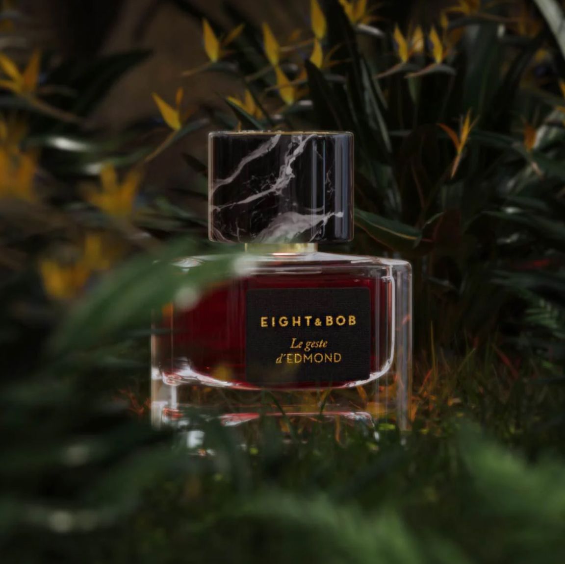 Le Geste d'Edmond EIGHT & BOB perfume - a new fragrance for women and ...