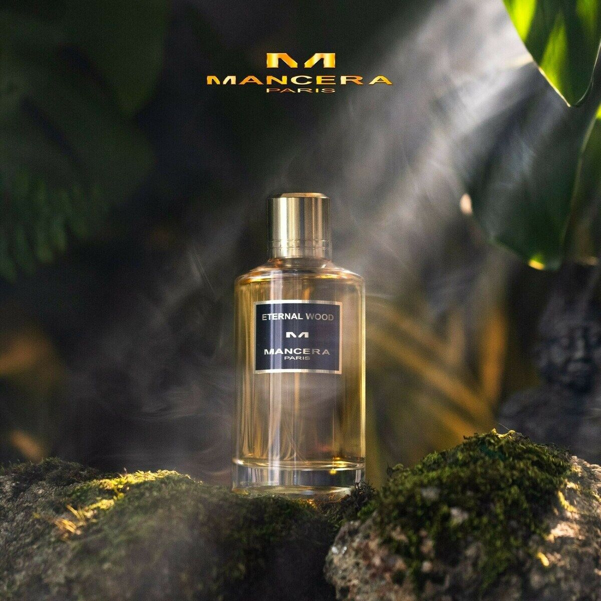 Eternal Wood Mancera perfume - a new fragrance for women and men 2024