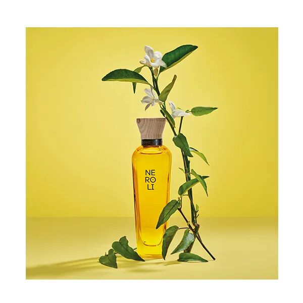 Neroli Mujer Adolfo Dominguez perfume - a fragrance for women 2024