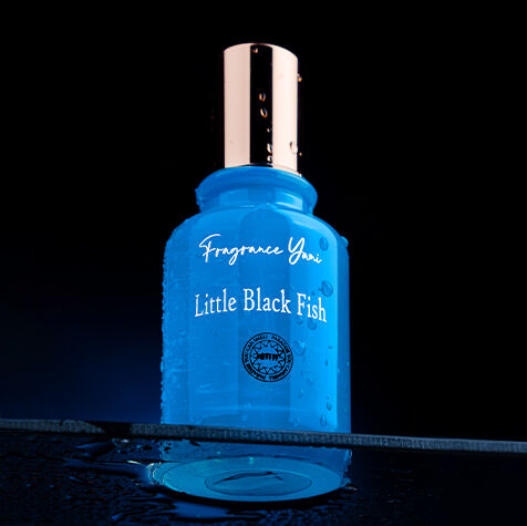 Little Black Fish YANI perfume - a new fragrance for women and men 2023