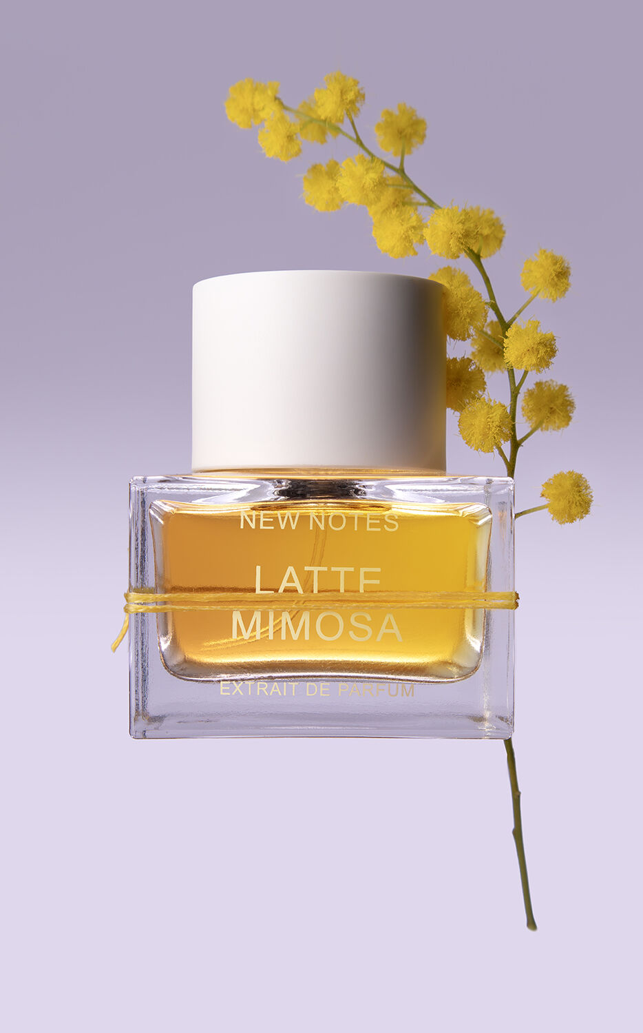 Latte Mimosa New Notes perfume - a new fragrance for women and men 2024