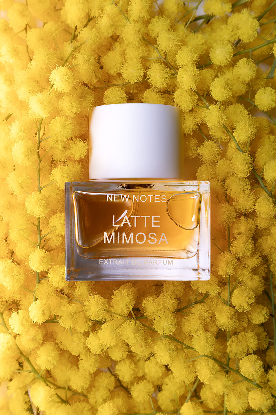 Latte Mimosa New Notes perfume - a new fragrance for women and men 2024
