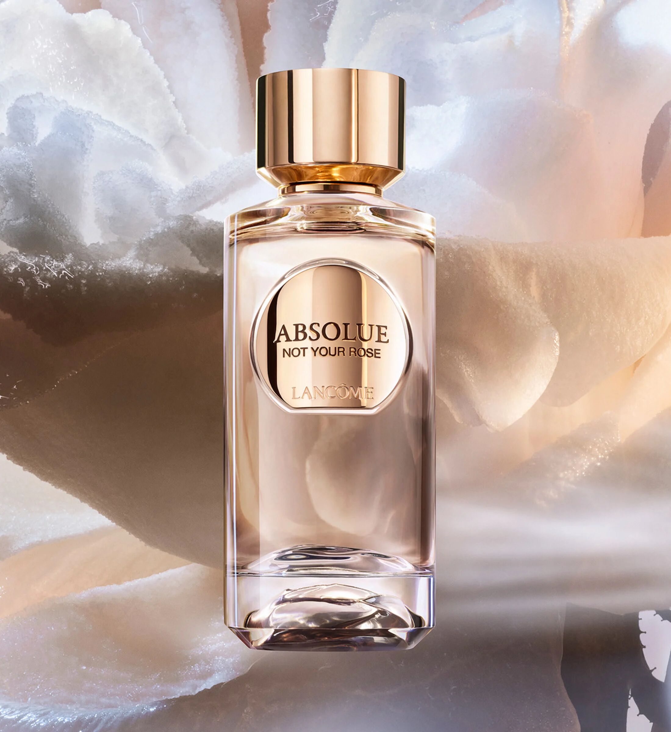 Absolue Not Your Rose Lancôme perfume - a new fragrance for women 2024