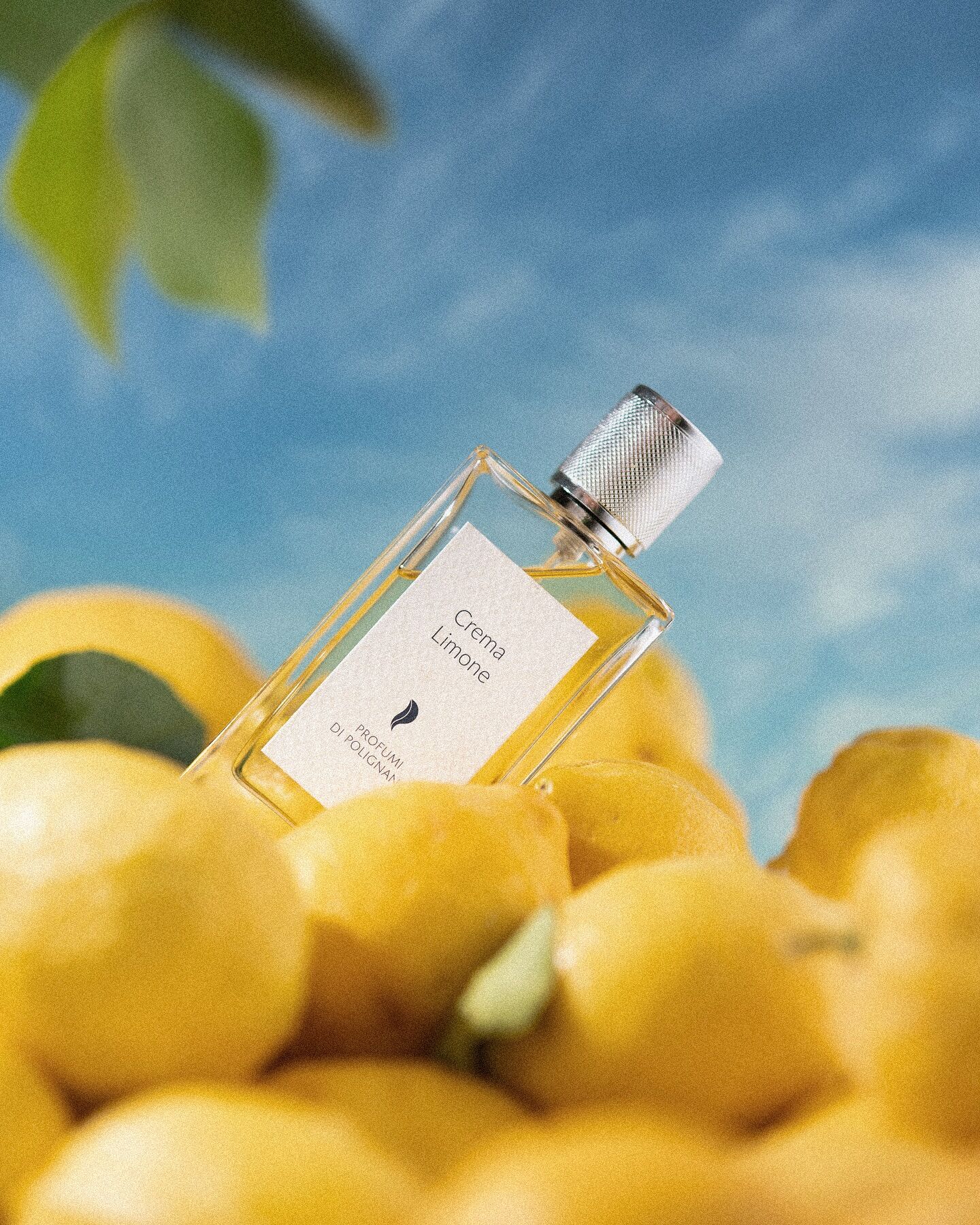 Crema Limone Profumi Di Polignano perfume - a novo fragrância ...