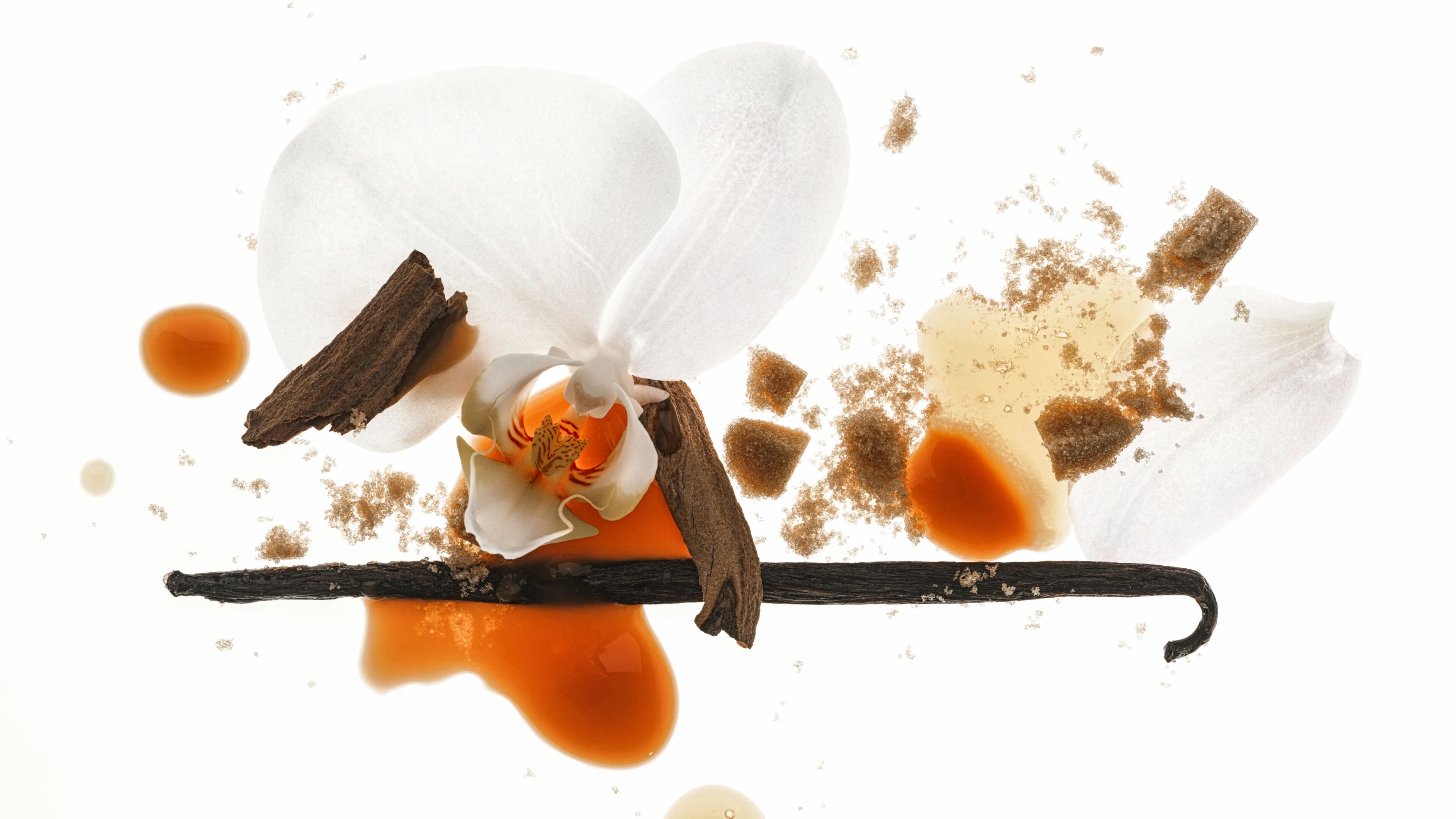 Caramel Skin Phlur parfum - un nouveau parfum pour femme 2024