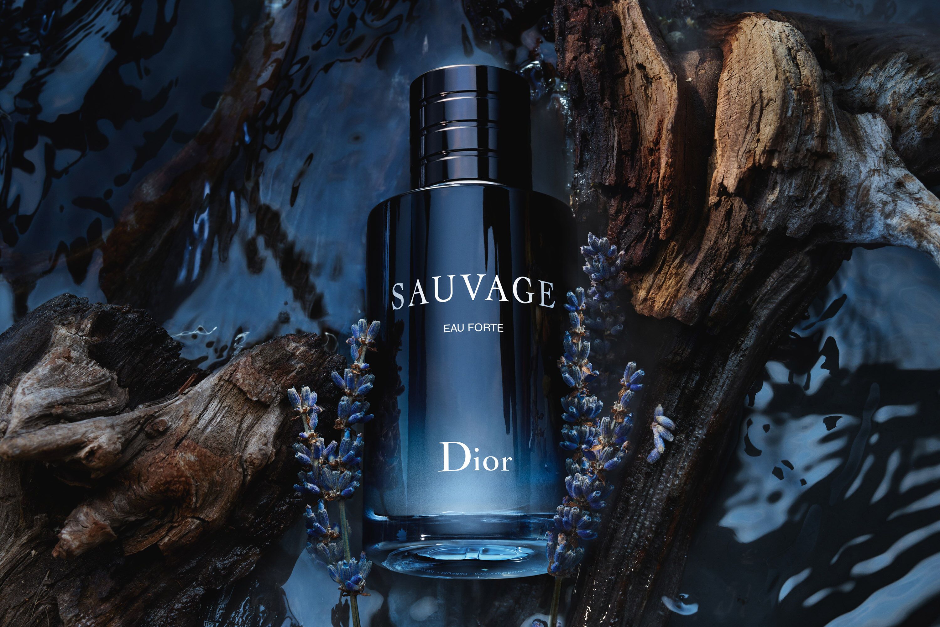 Sauvage Eau Forte Dior cologne - a new fragrance for men 2024