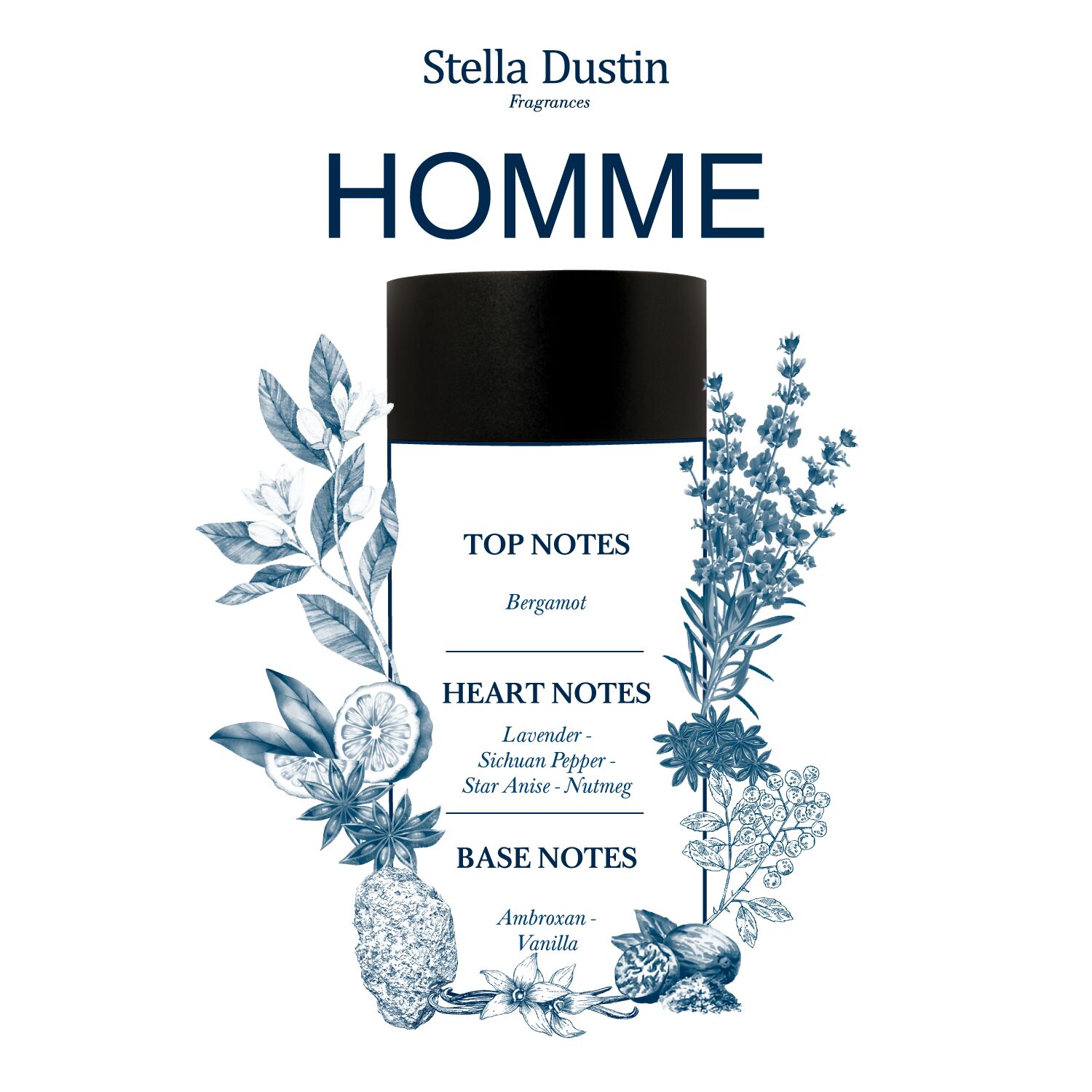 Homme Stella Dustin Stella Dustin cologne - a fragrance for men 2023