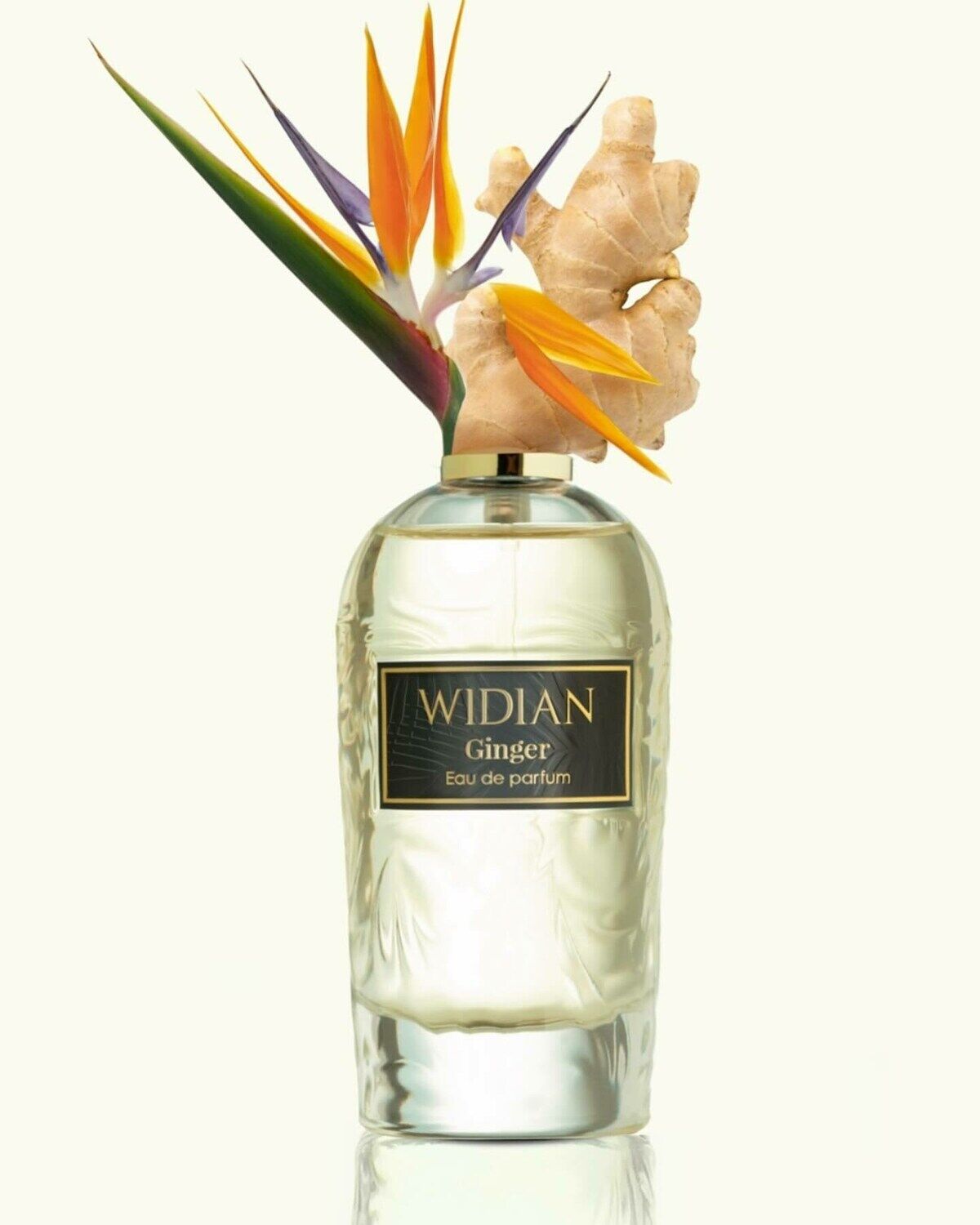 Rose Arabia Ginger WIDIAN perfume - a new fragrance for women and men 2024