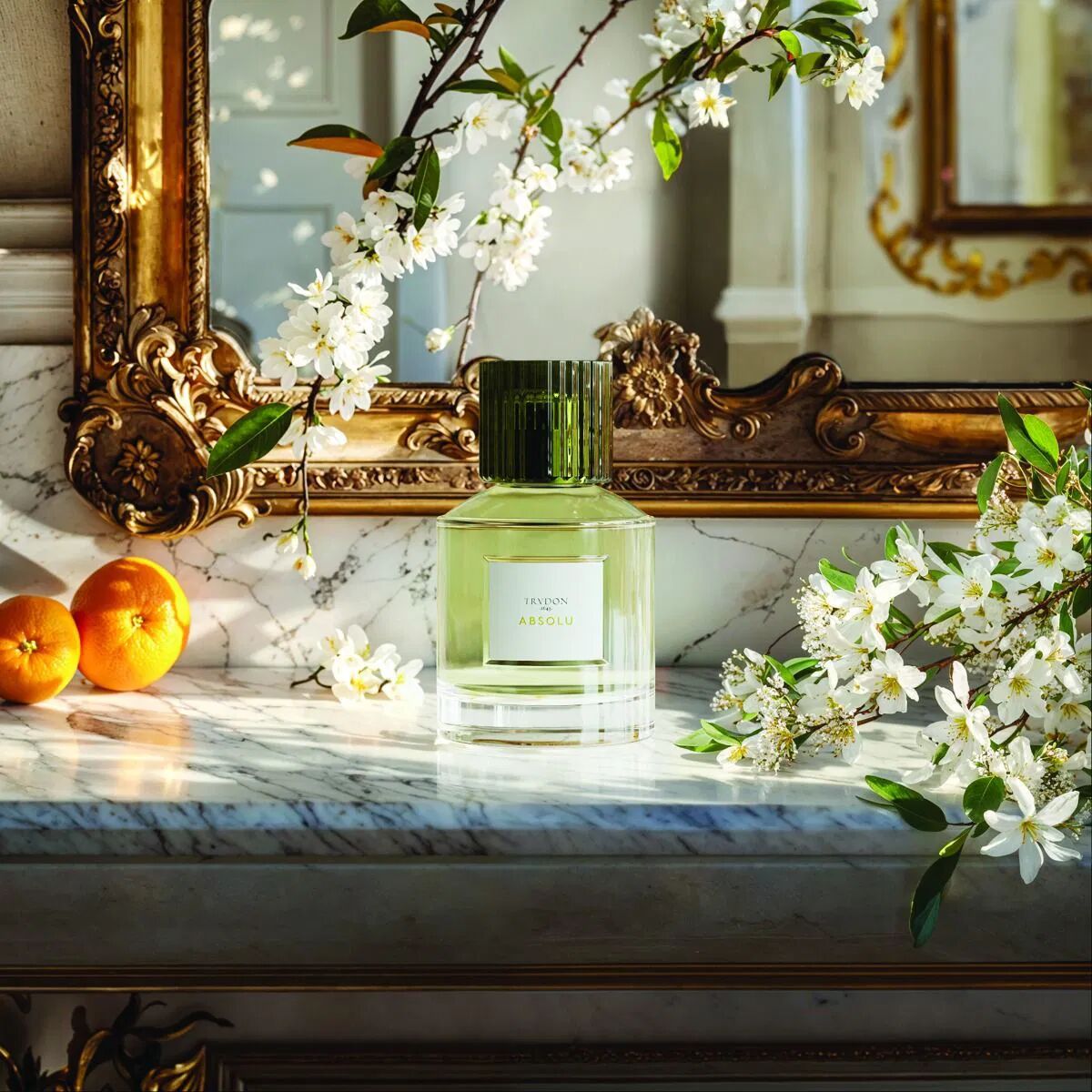 Absolu Trudon parfum - un nouveau parfum pour homme et femme 2024