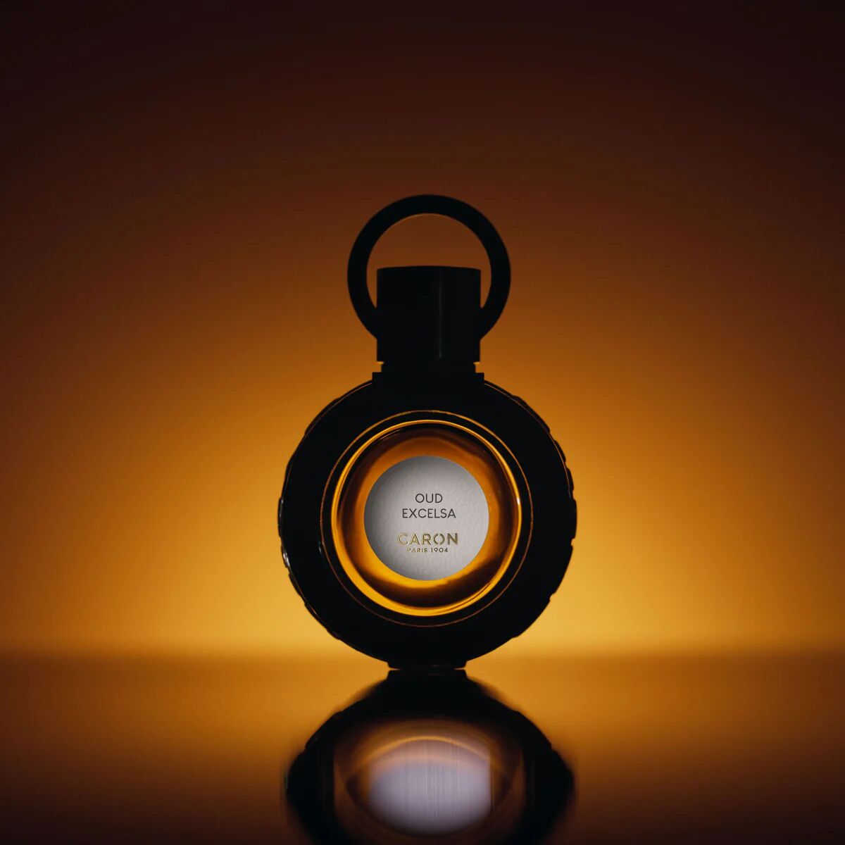 Oud Excelsa Caron perfume - a new fragrance for women and men 2024