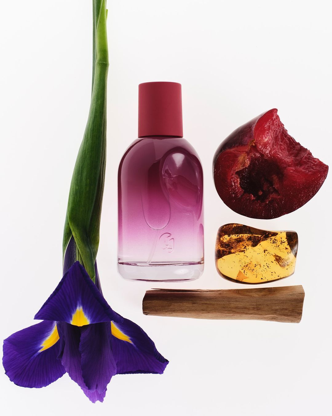 You Rêve Glossier perfume - a new fragrance for women and men 2024