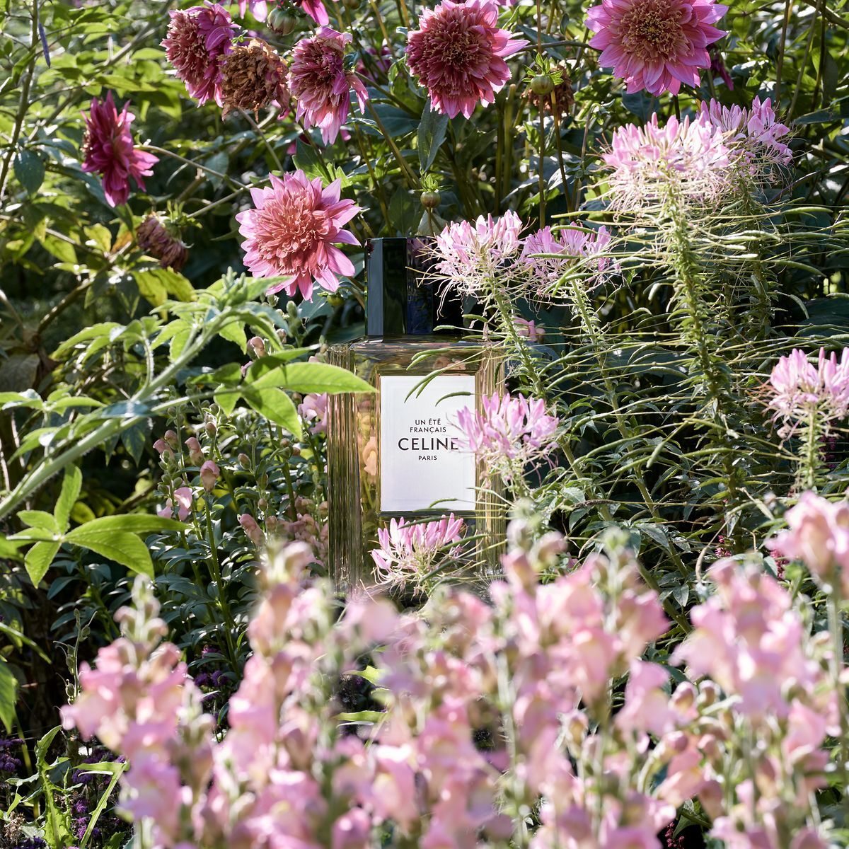 Un Été Français Celine аромат - новий аромат для жінок та чоловіків 2024