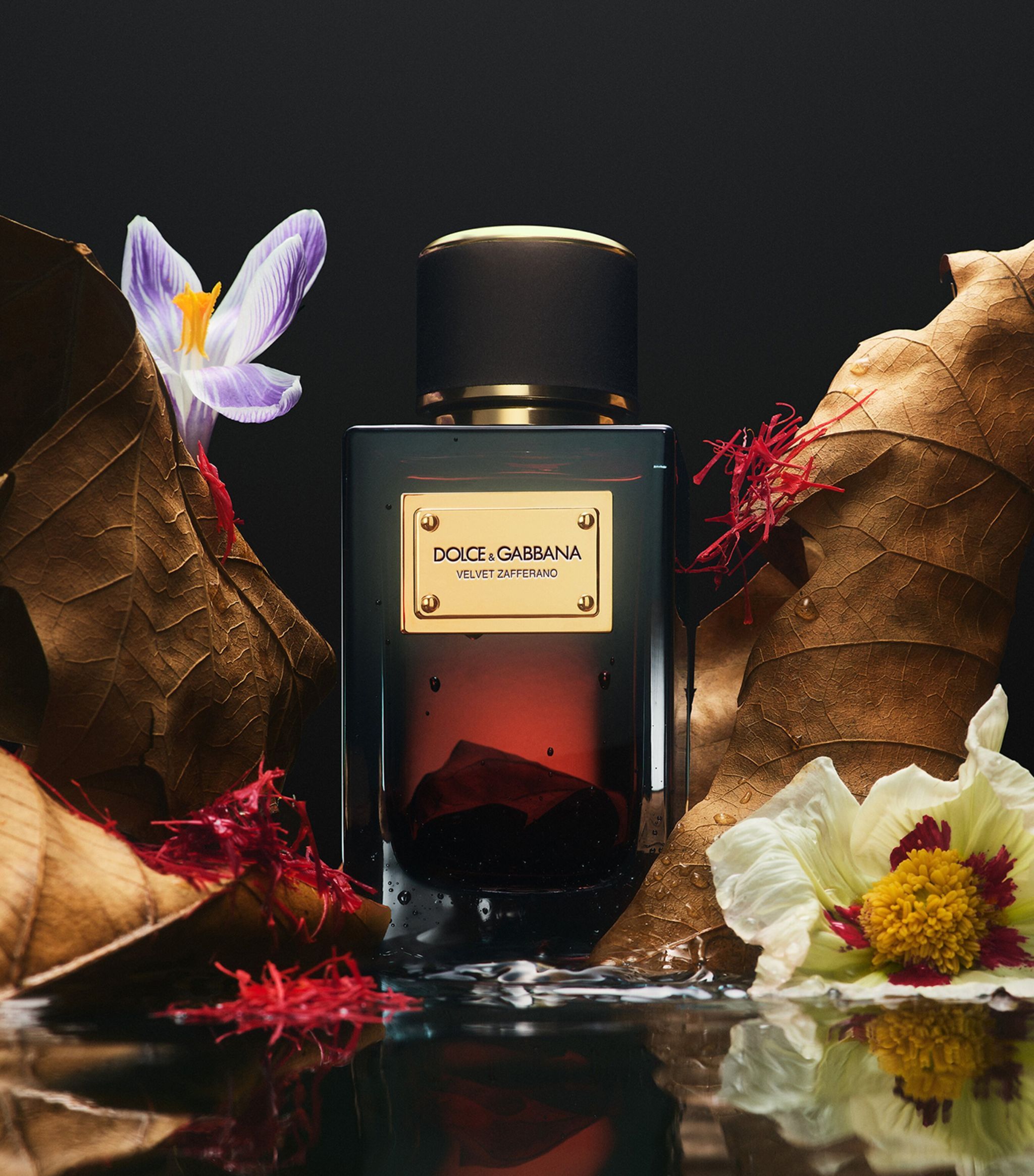Velvet Zafferano Dolce&Gabbana - una novità fragranza unisex 2024