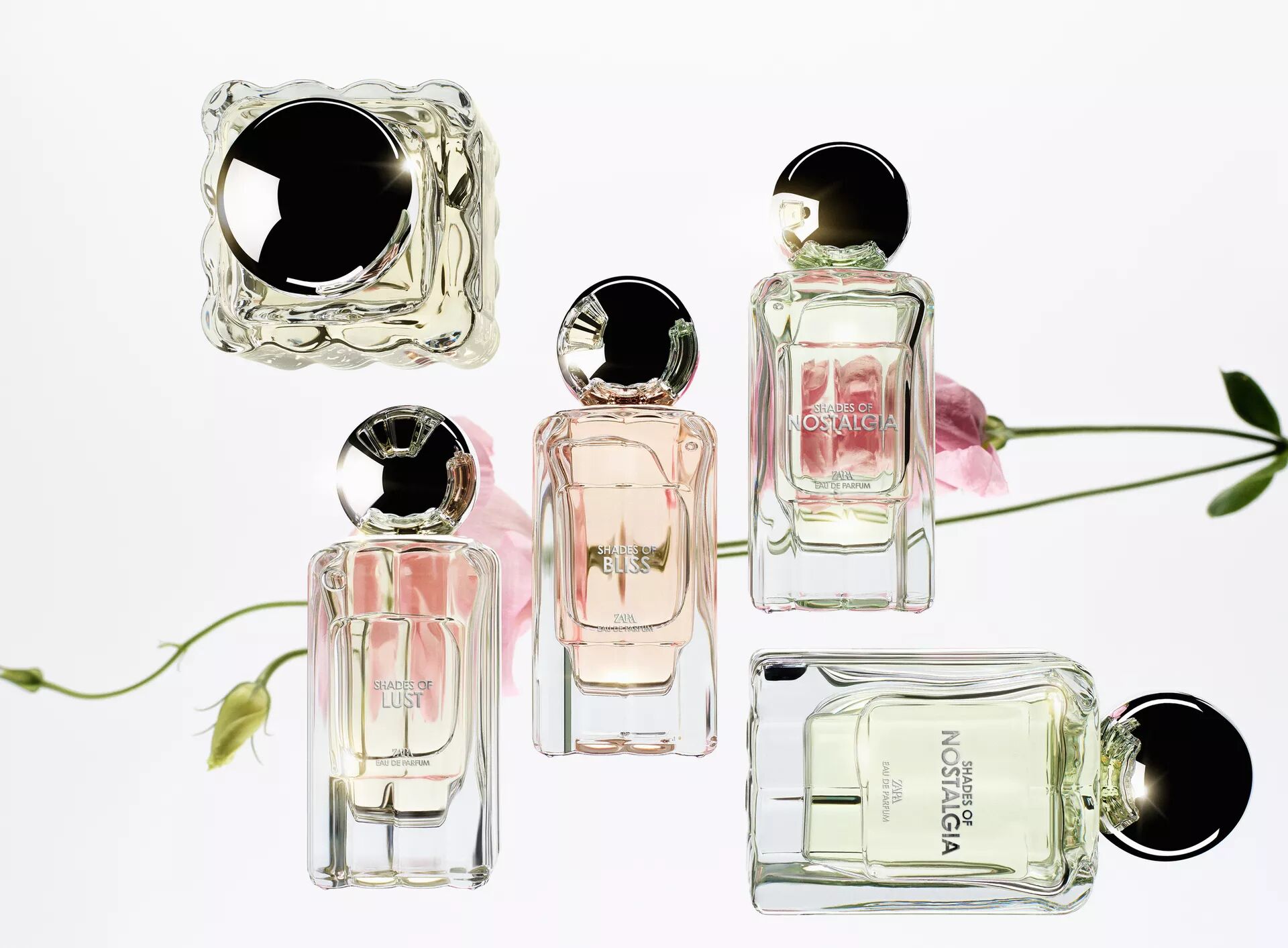 Shades Of Nirvana Zara perfume - a new fragrance for women 2024