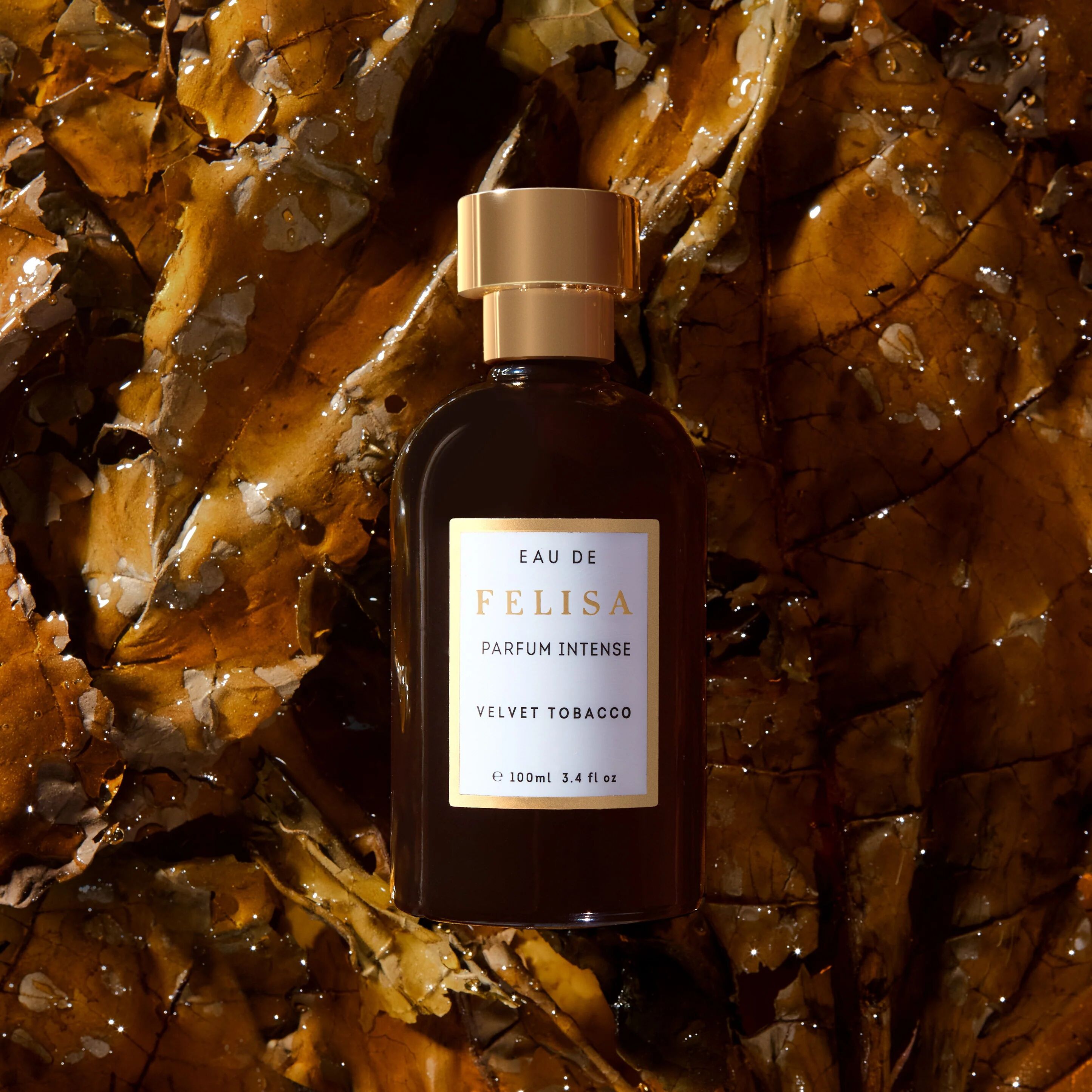 Velvet Tobacco FELISA perfume - a new fragrance for women and men 2024